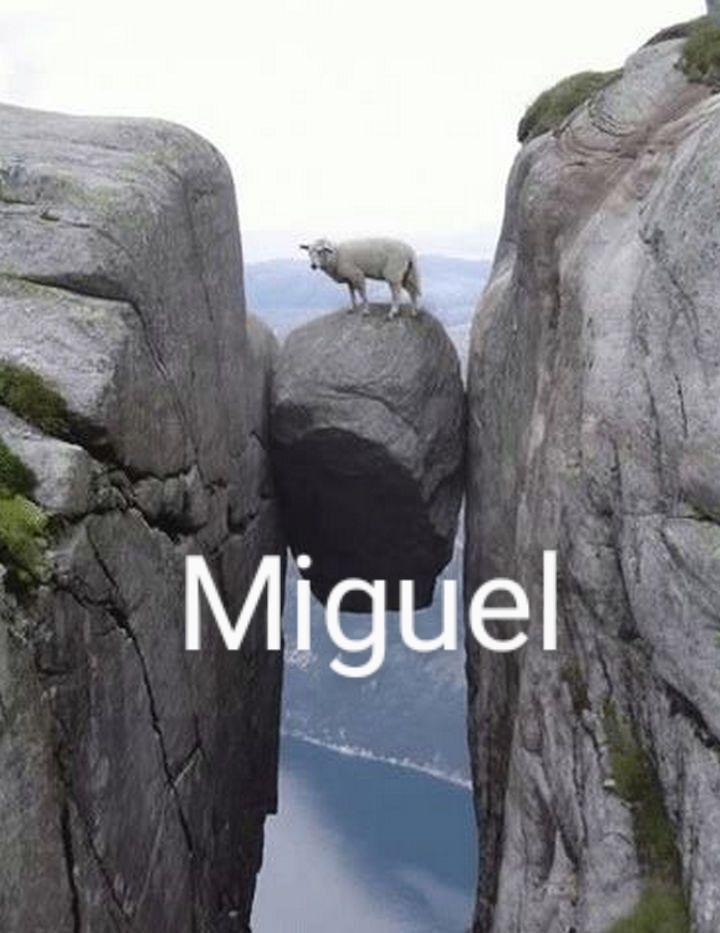 The Long Awaited Sequel Scrolller