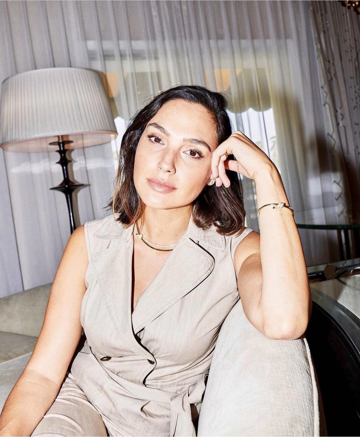 The look Gal Gadot gives you when she catches you jerking off to her | Scrolller