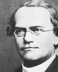 The Lord. | Scrolller