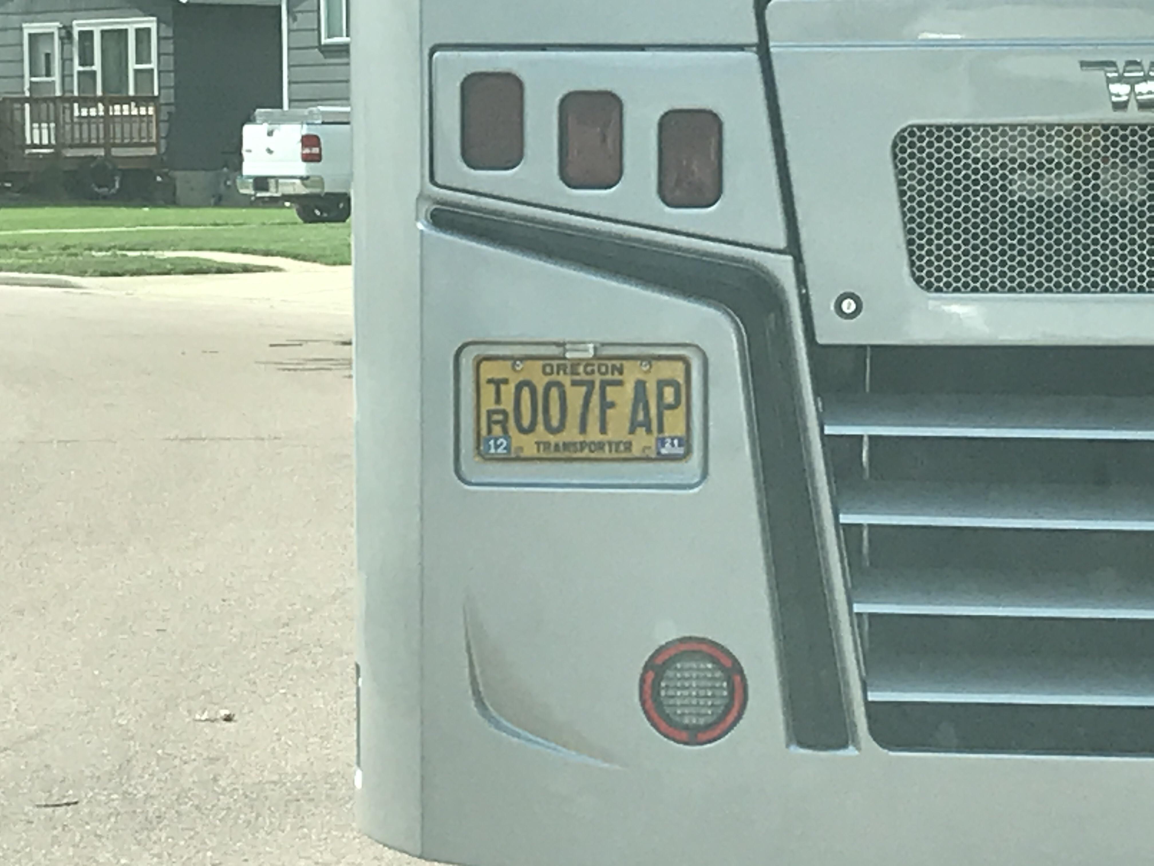 The love bus? | Scrolller