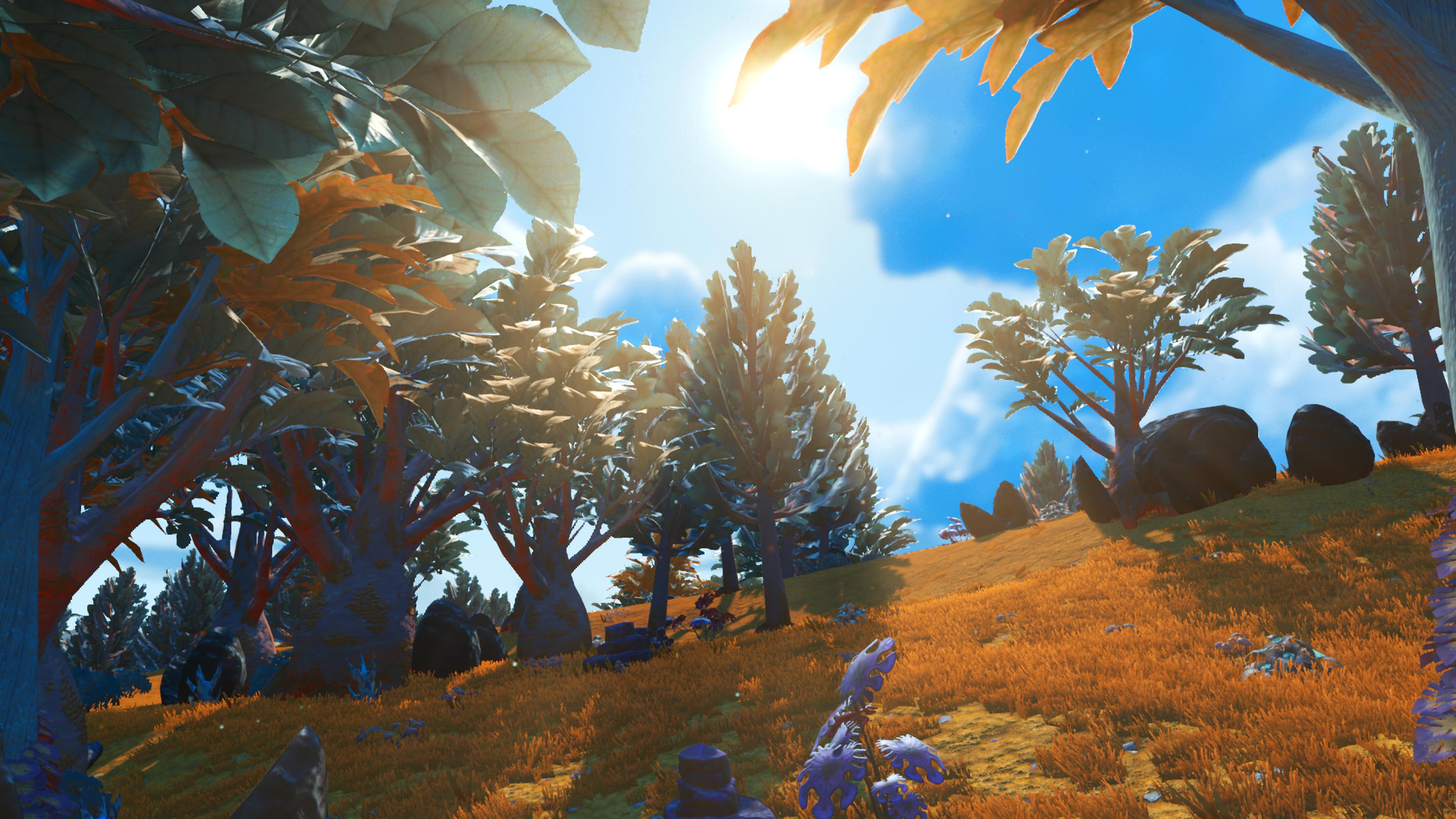 The Meadows | Scrolller