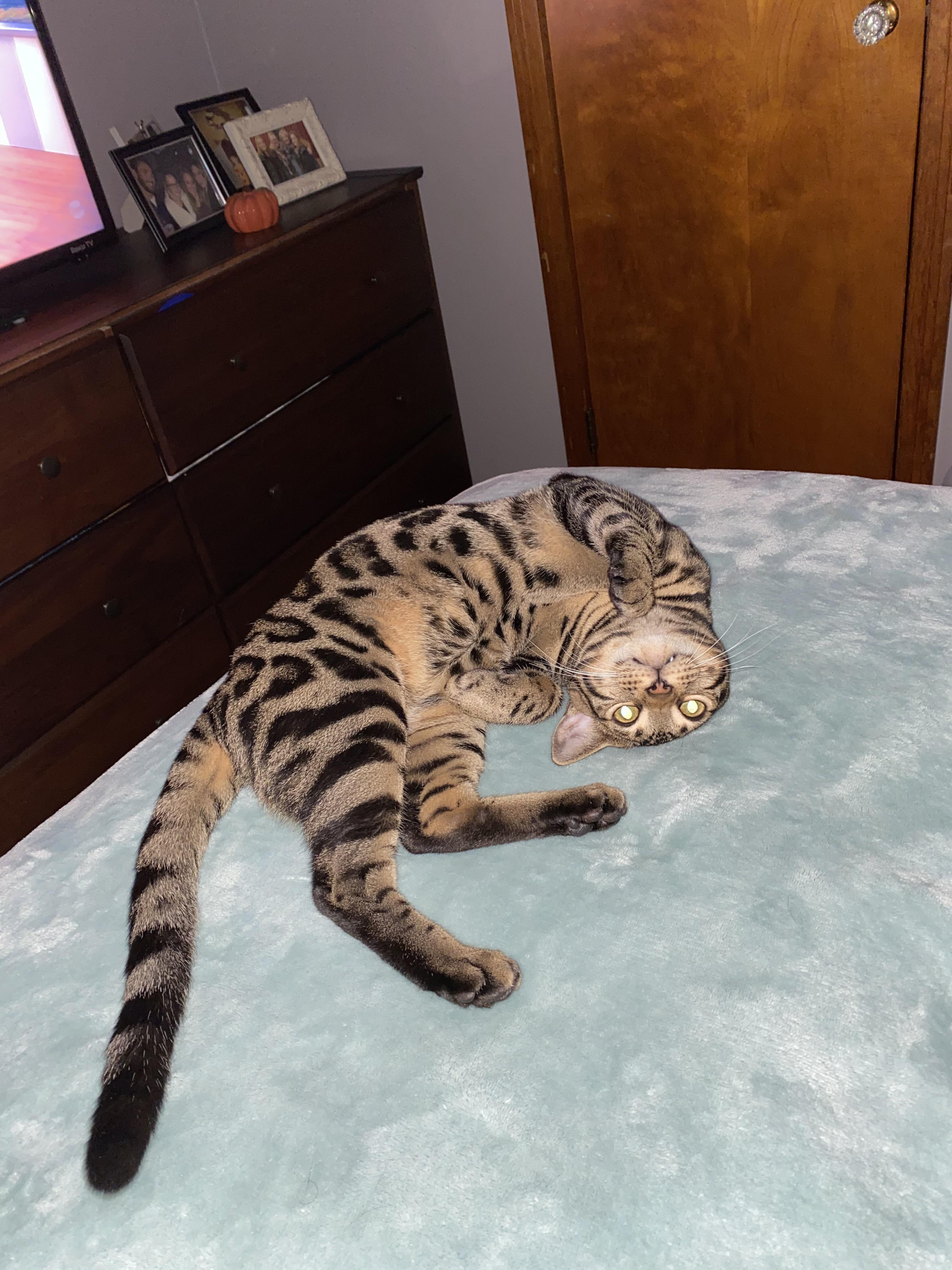 The mom give me attention pose | Scrolller