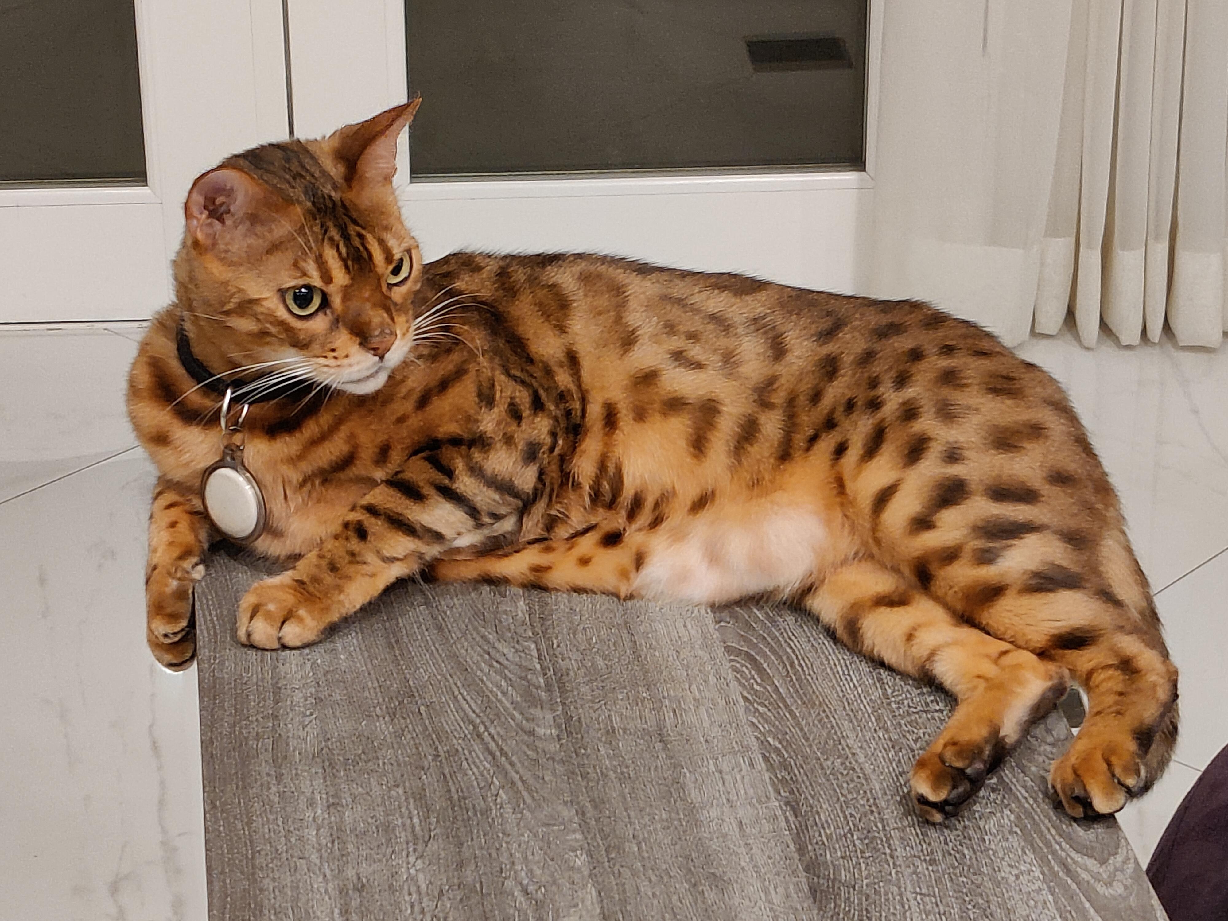 The most beautiful thing I have ever seen | Scrolller