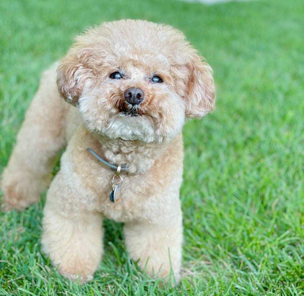 The most handsome | Scrolller