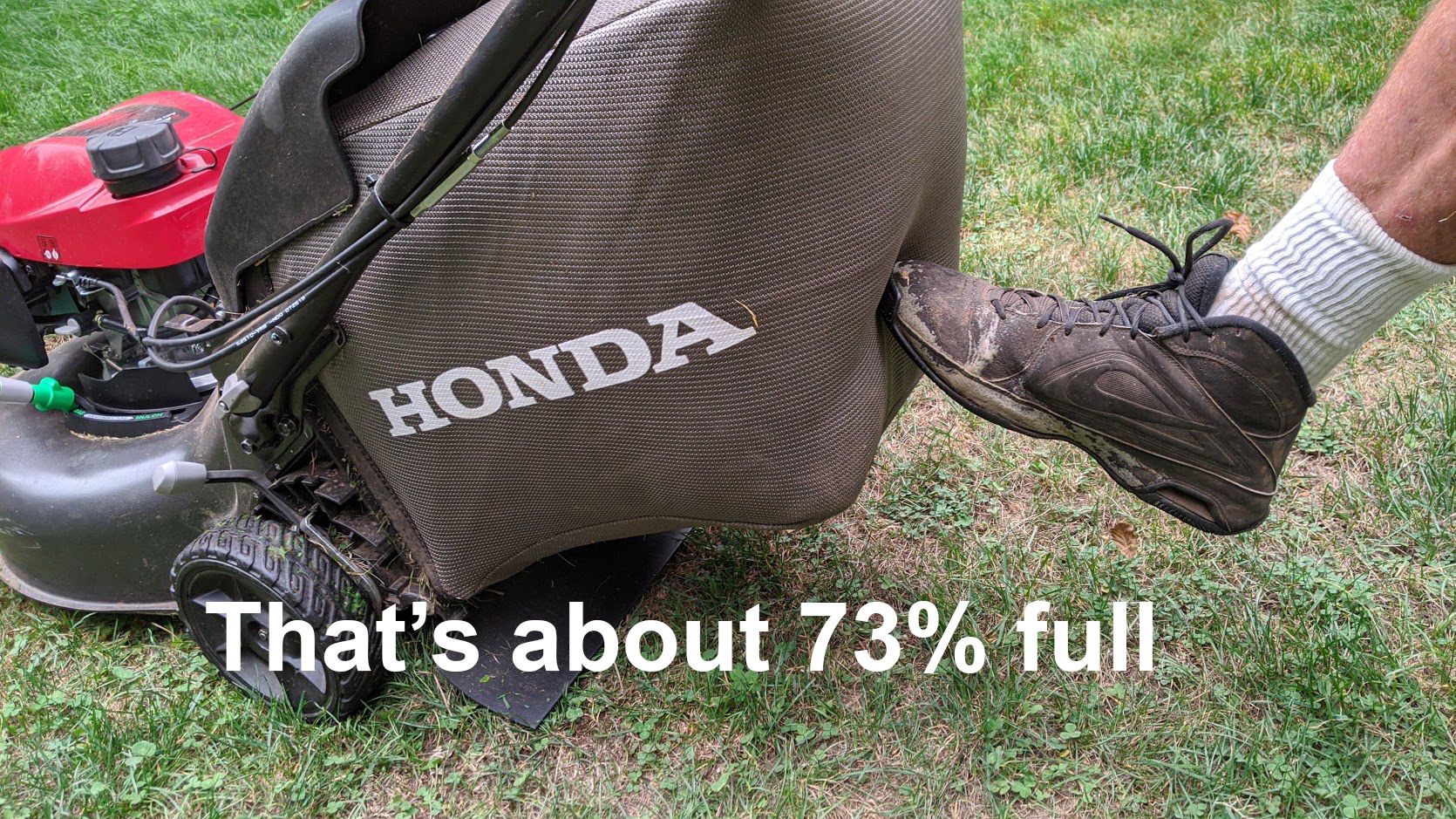 The Mower's Precision Bag-check | Scrolller