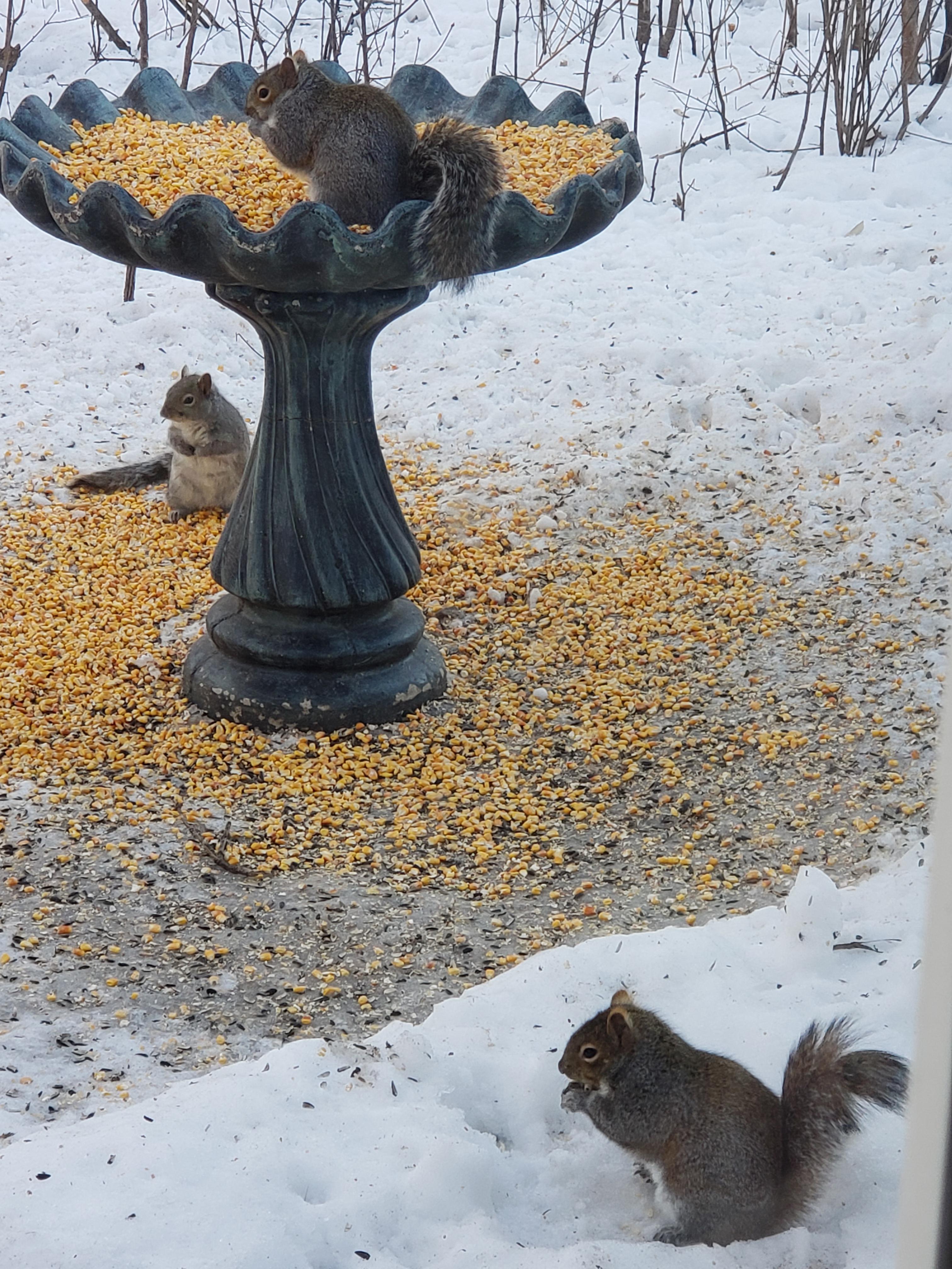 The neighborhood trinity | Scrolller