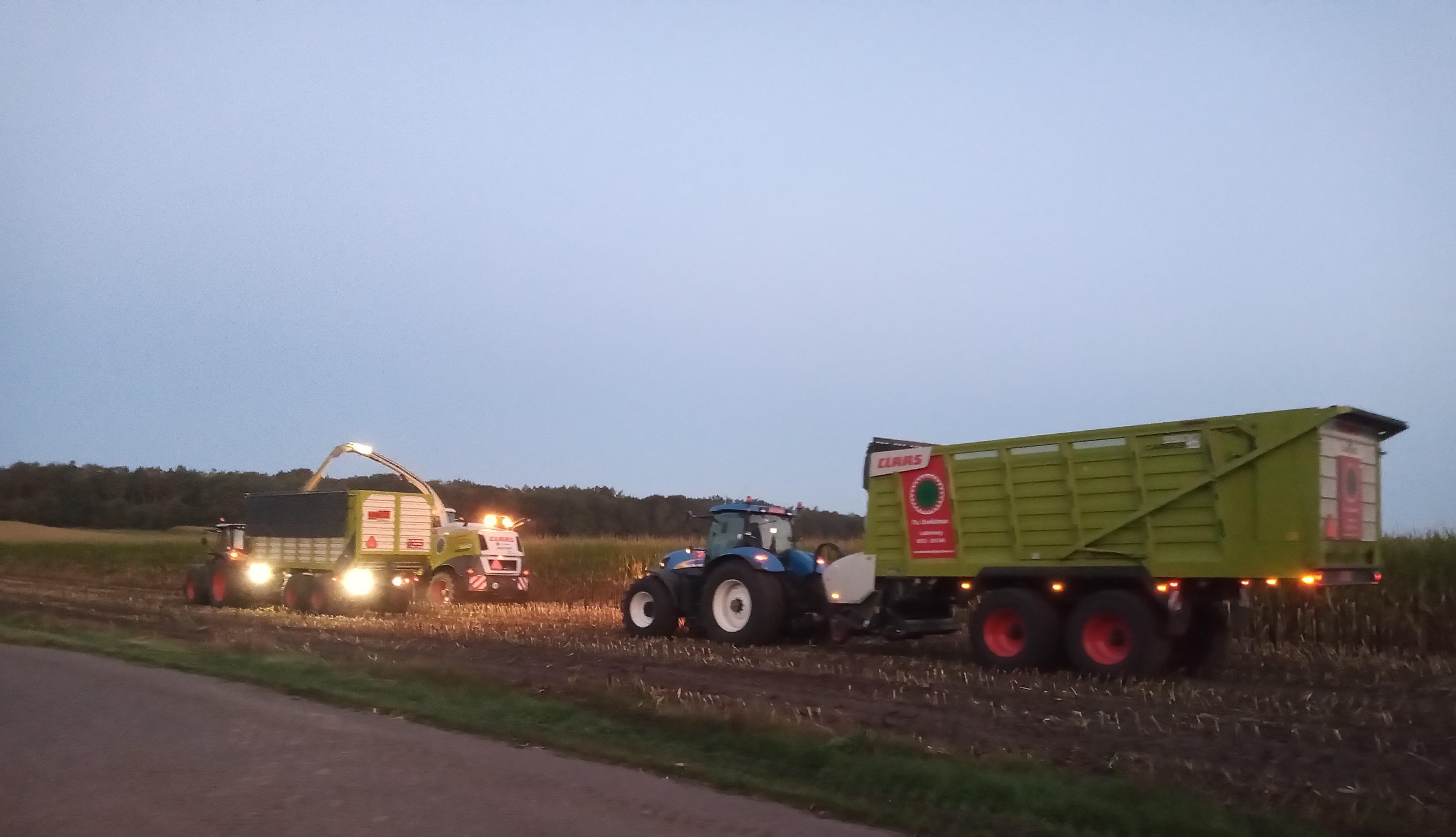 The Neighbours chopping corn | Scrolller