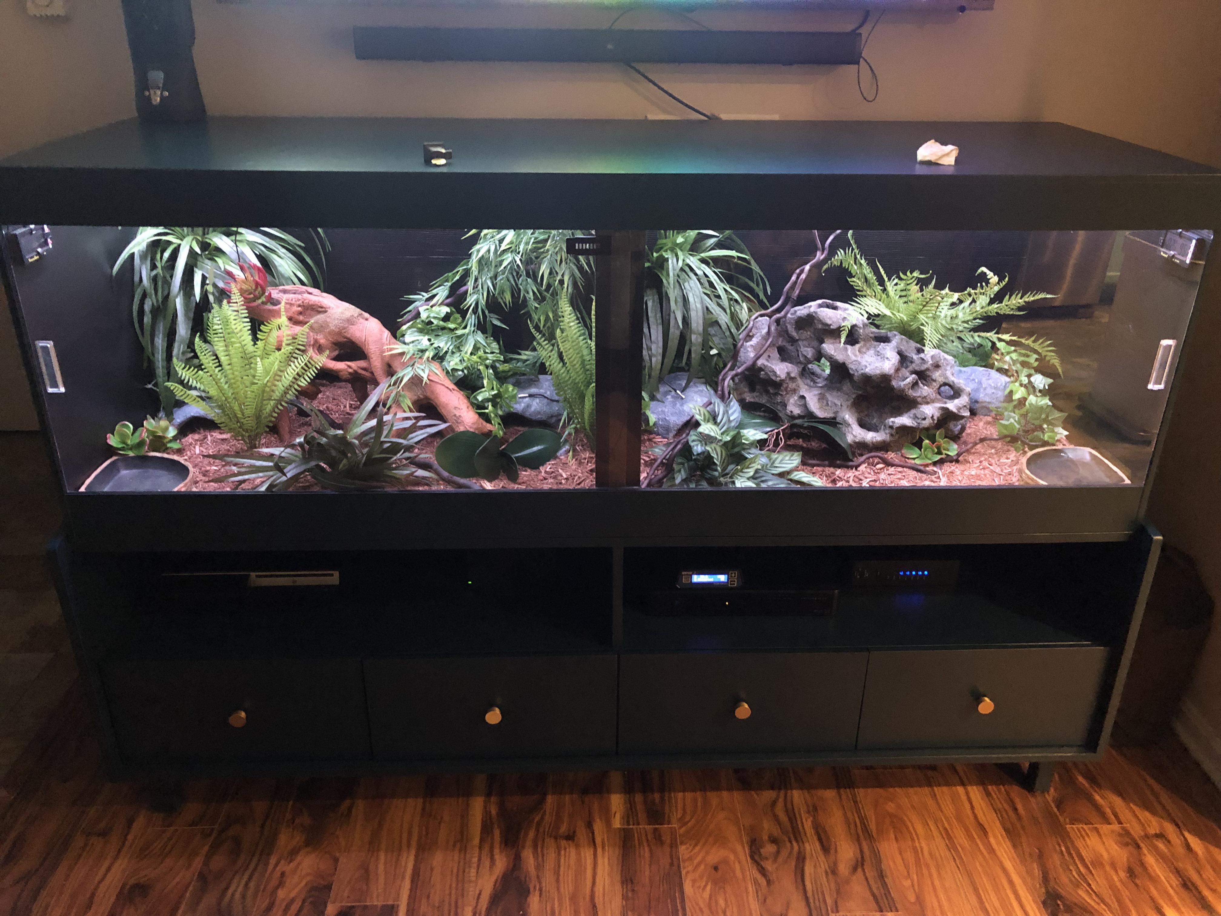 The new build. Whatcha think? | Scrolller