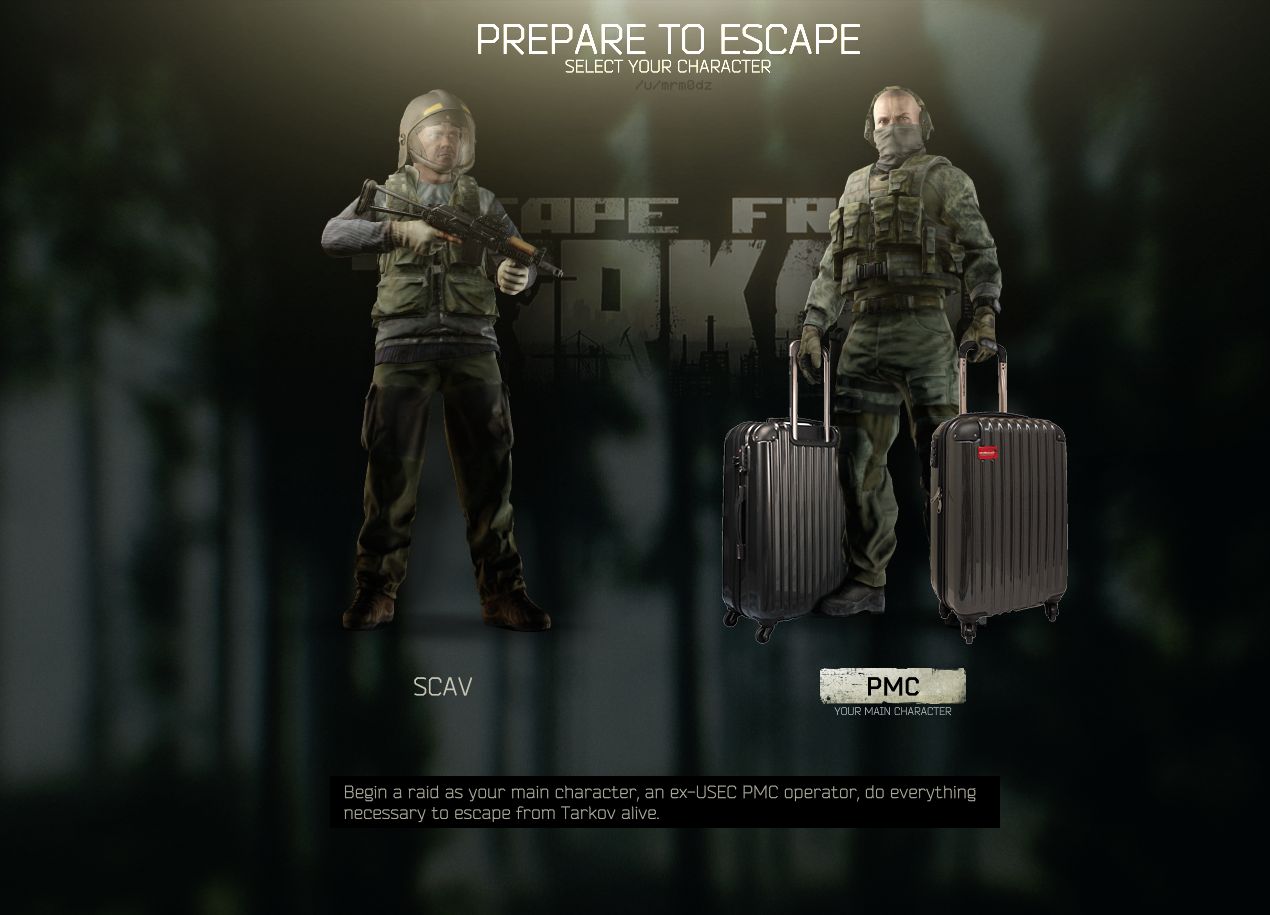 The new loadout meta | Scrolller