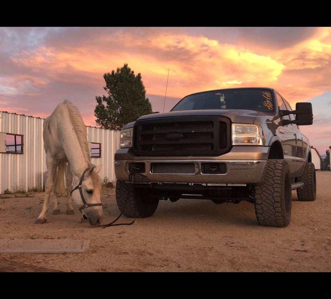 The newest mod, adds +1 horsepower | Scrolller