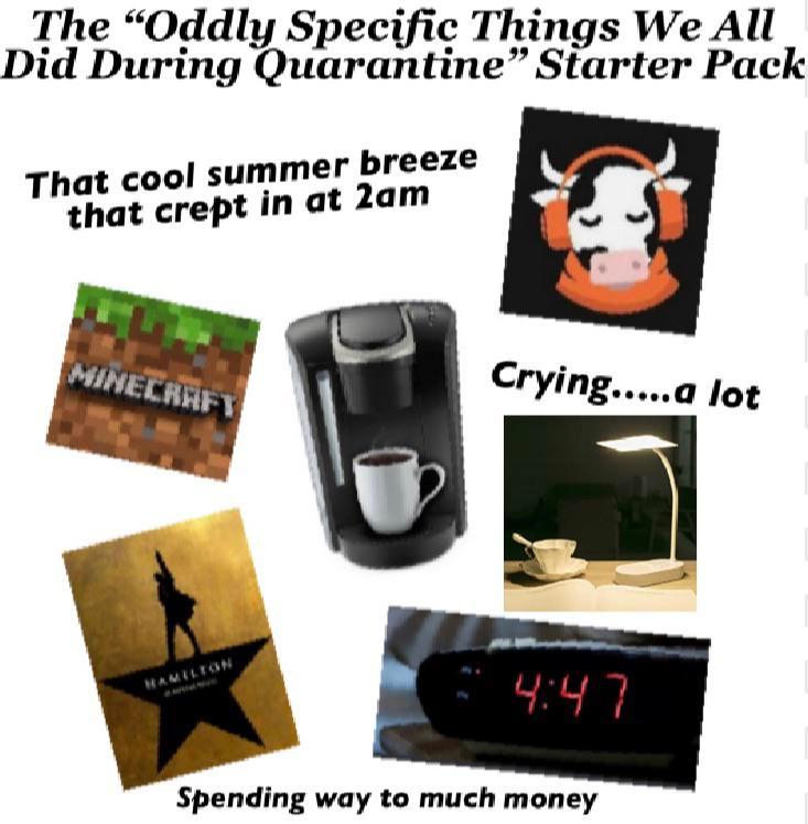 The “Oddly Specific Things We All Did During Quarantine” Starter Pack | Scrolller