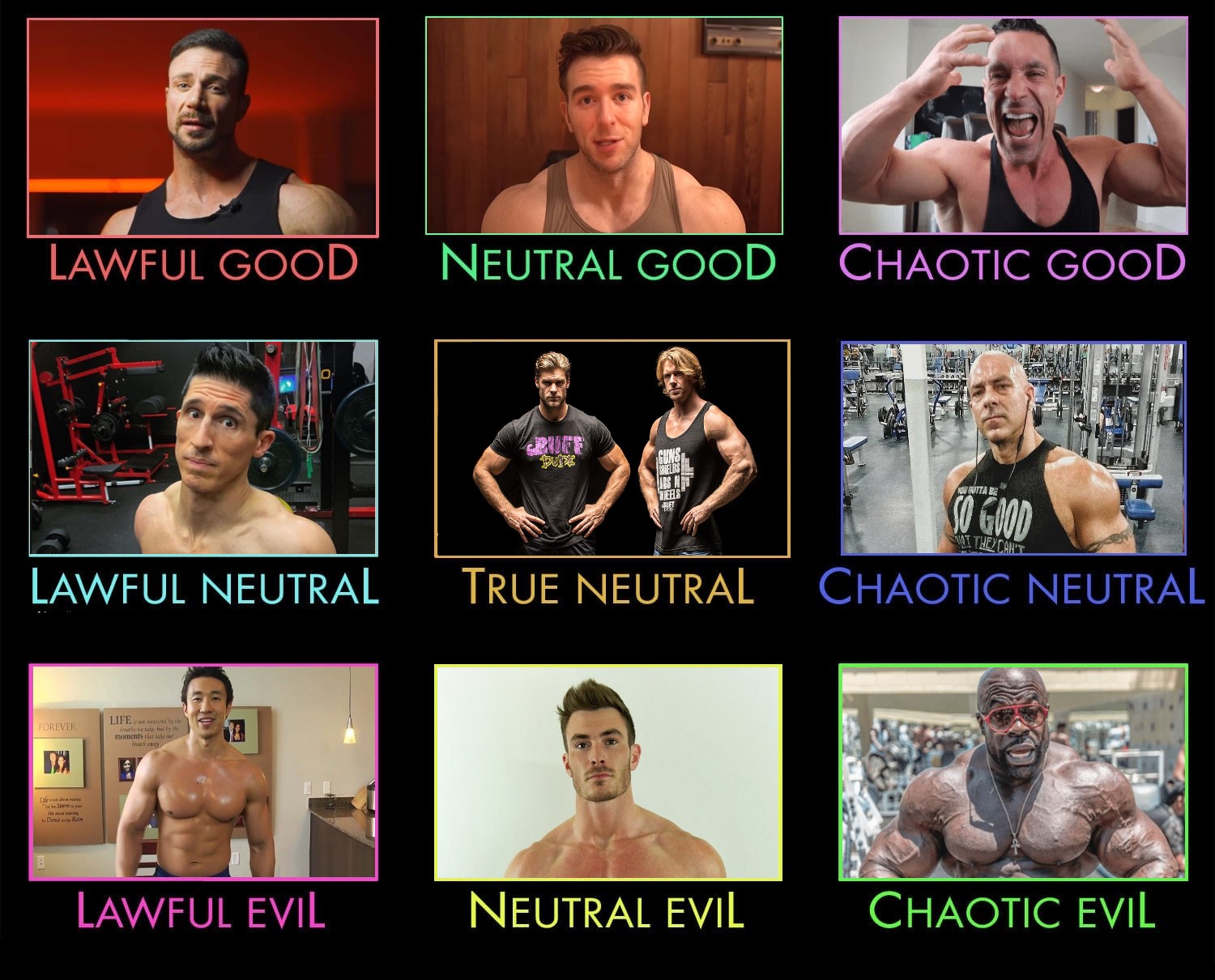 The Official Fitness Influencer Alignment Chart | Scrolller