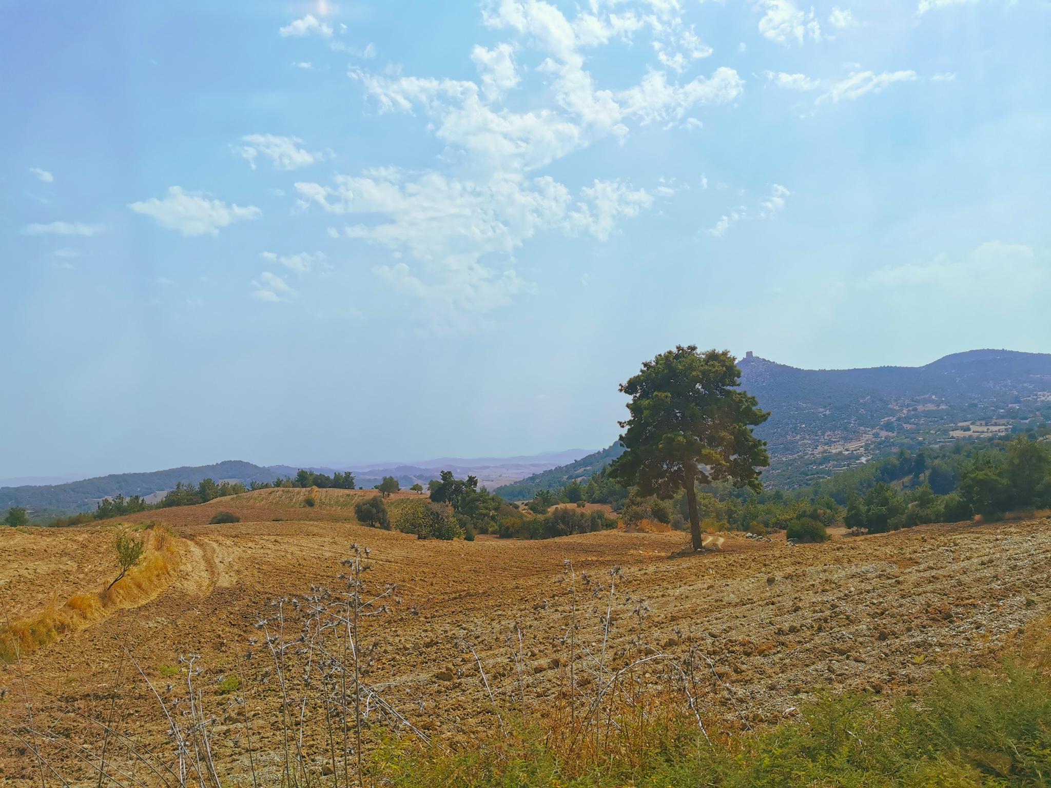 The perfect colour harmony of nature.. | Scrolller