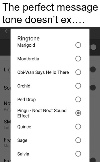 The perfect message tone | Scrolller