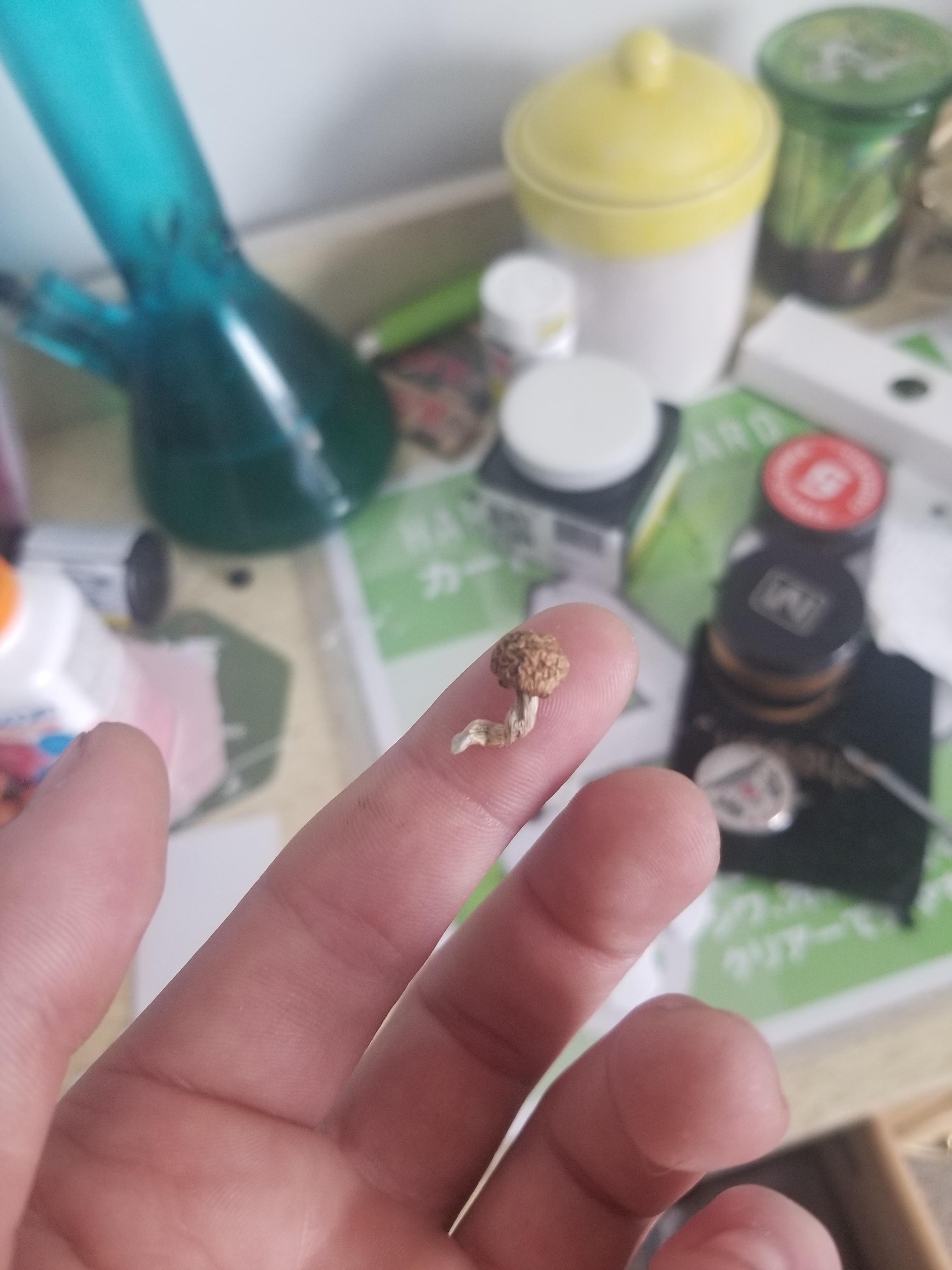 The perfect microdose 🤣 | Scrolller