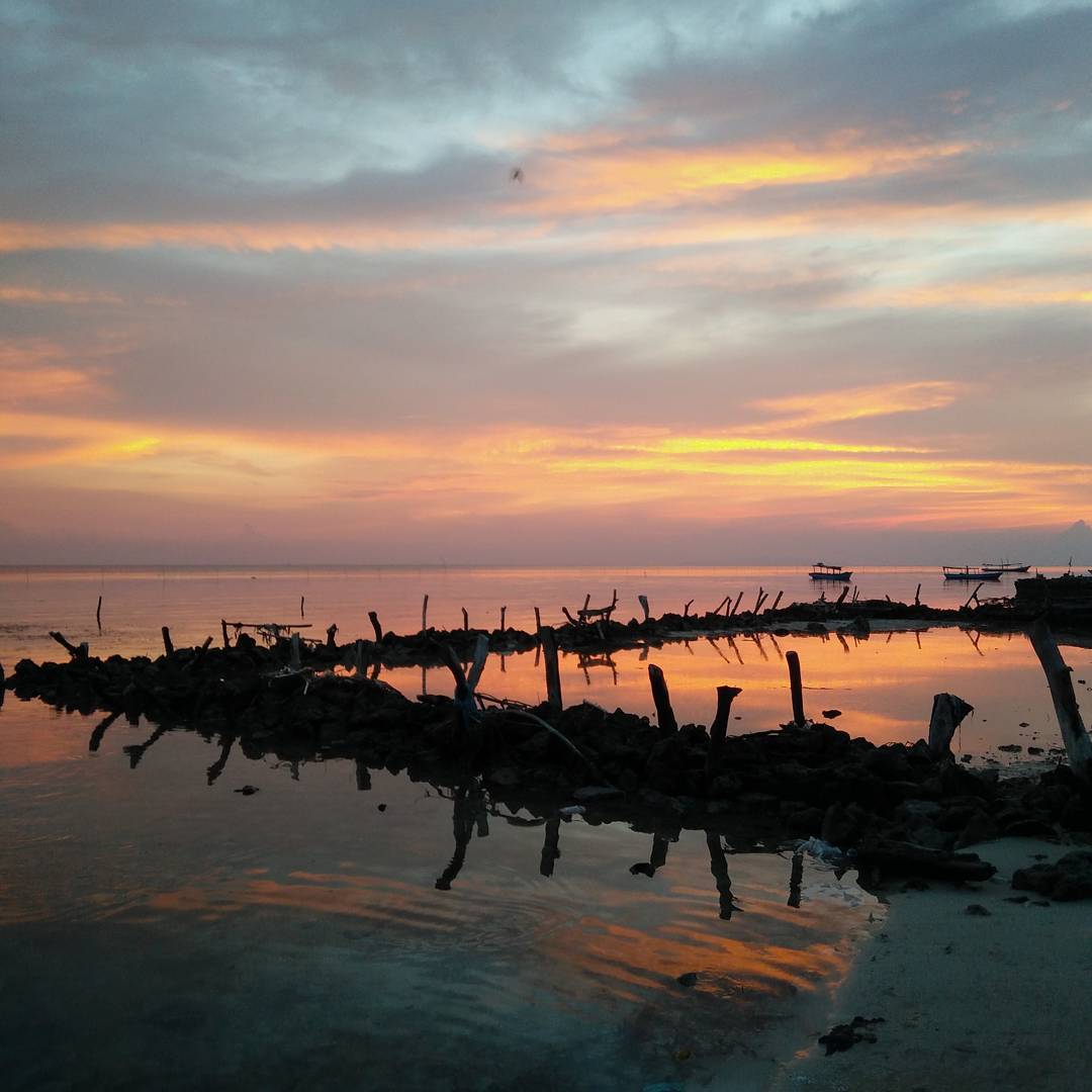 The perfect start ?? | Scrolller