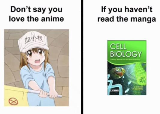 The platelets | Scrolller