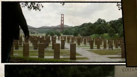 The Pokemon Situation | Scrolller