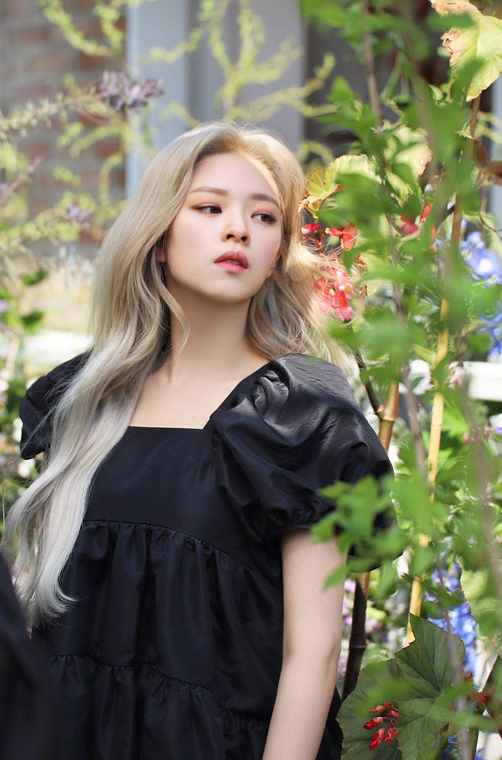 The prettiest | Scrolller