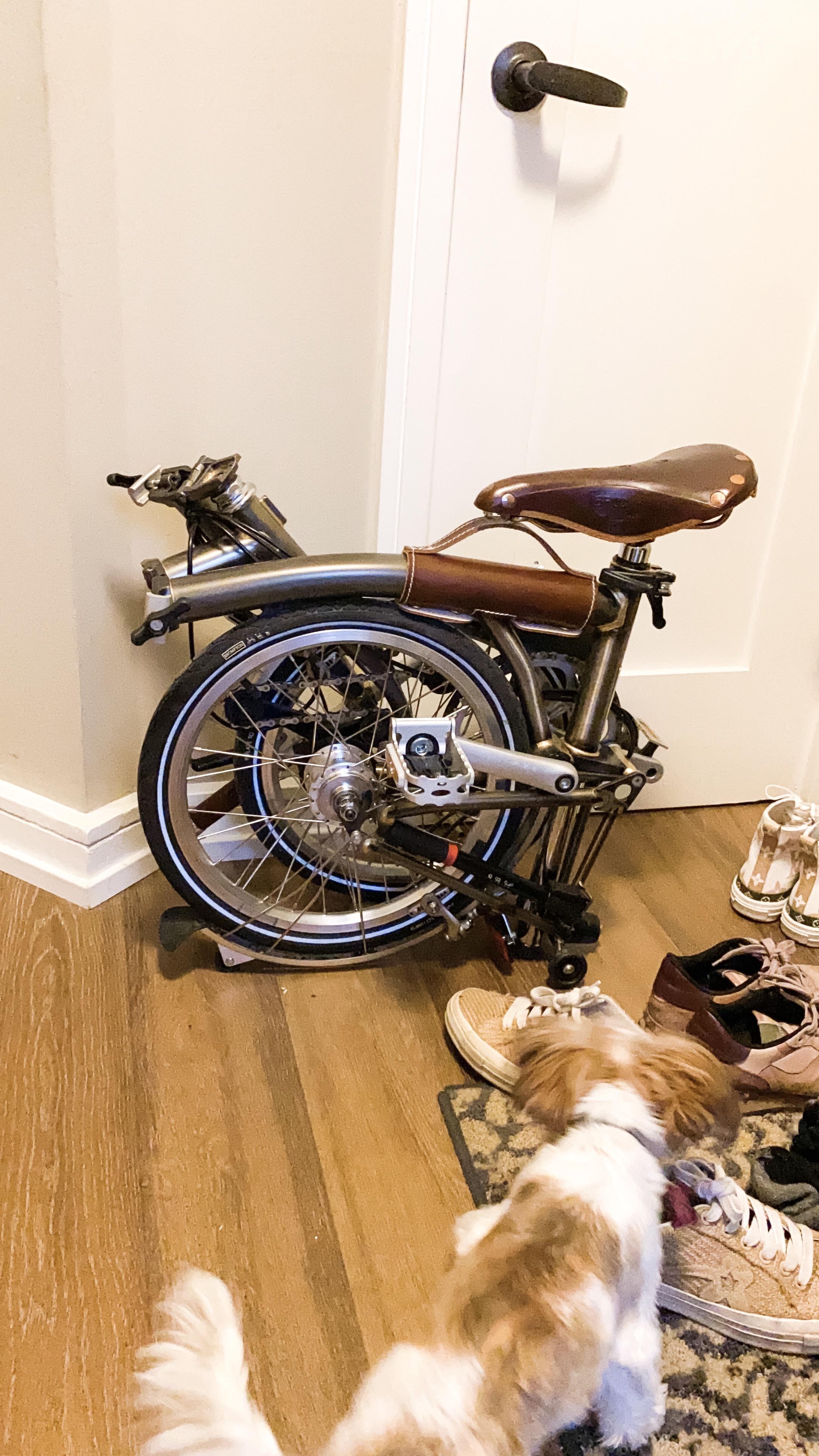 The queen has arrived | Scrolller