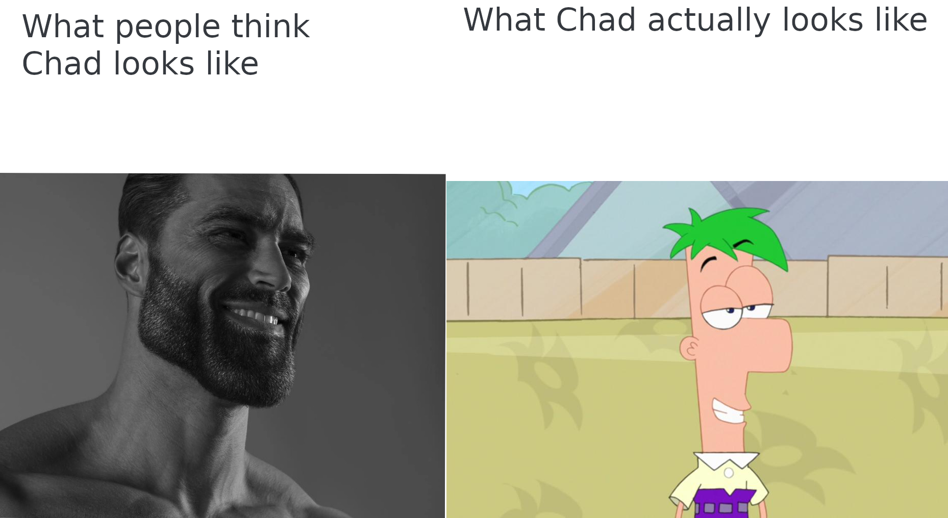 The REAL Chad | Scrolller