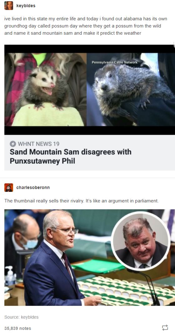 The real debate of 2021 | Scrolller