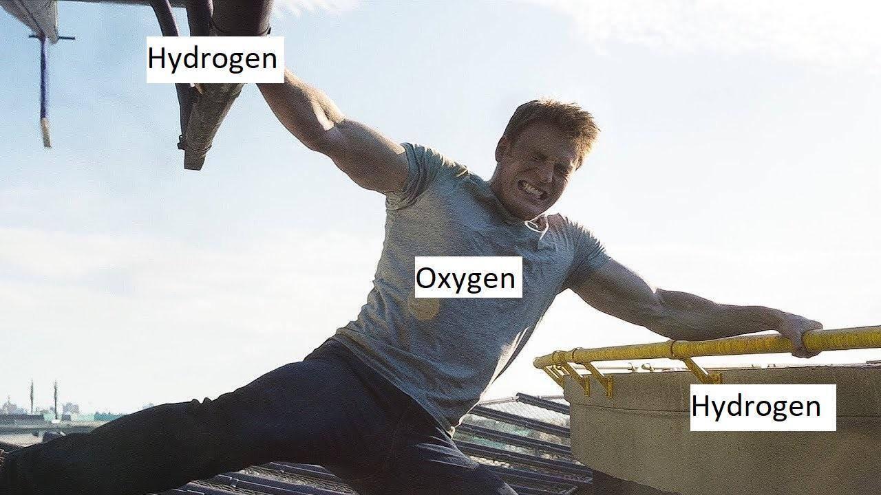 The real MVP | Scrolller