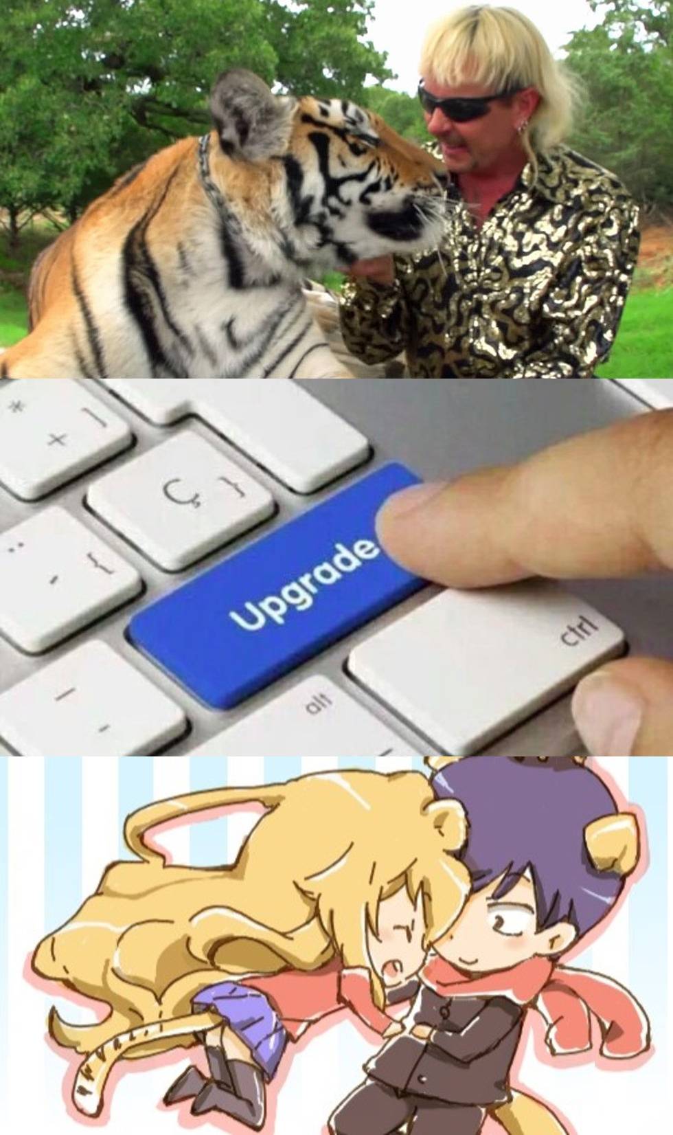 The real Tiger King | Scrolller