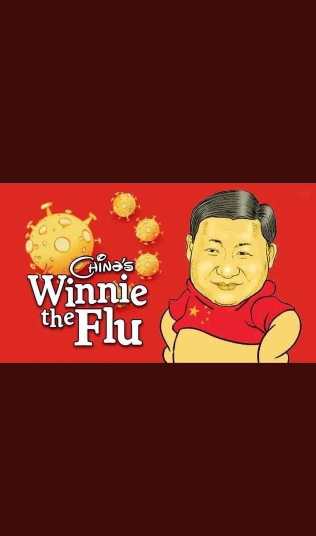 The real Winnie | Scrolller