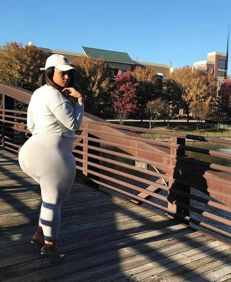 The rose | Scrolller