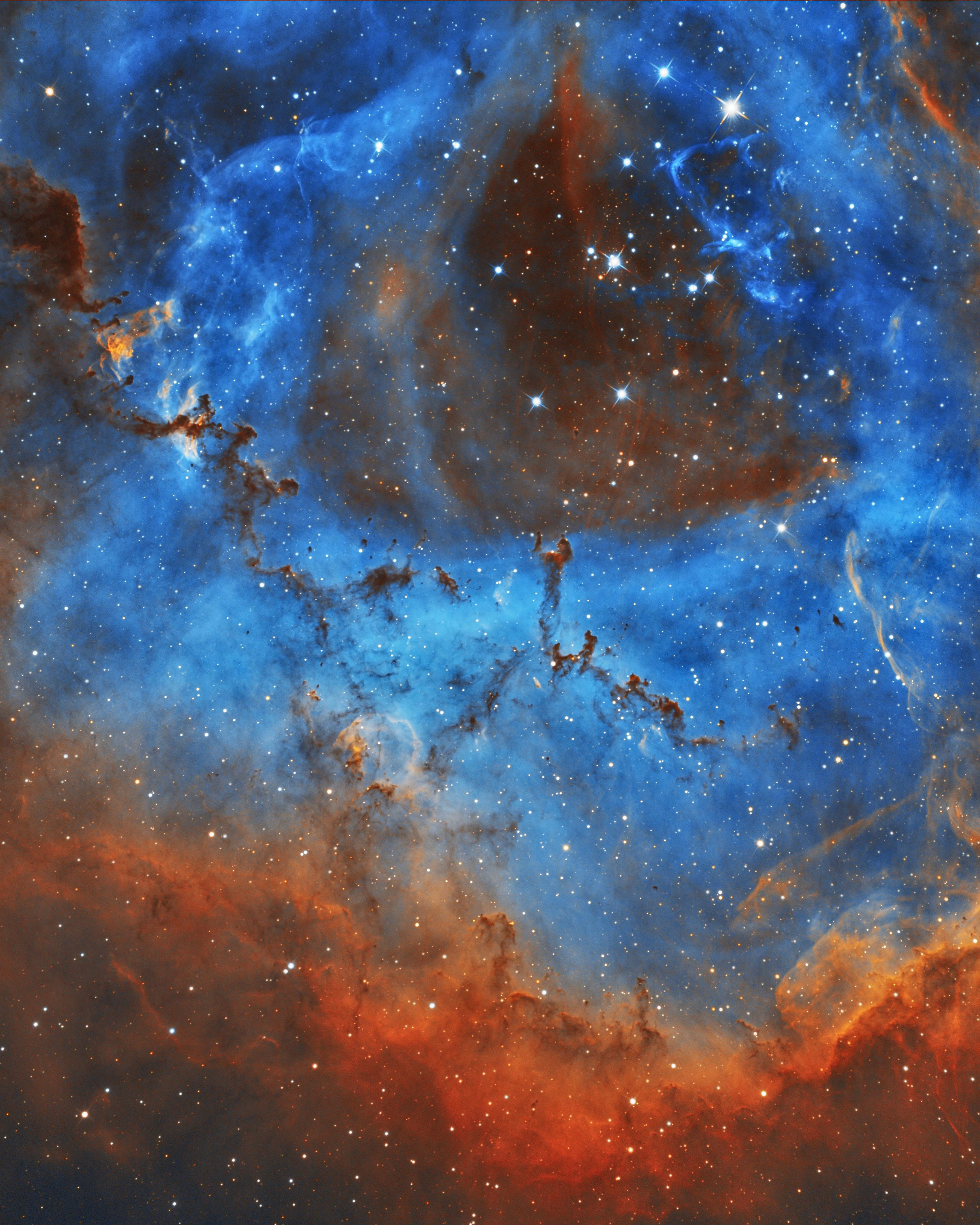 the rosette nebula | Scrolller