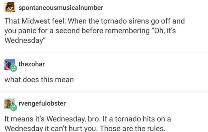 The Rules | Scrolller