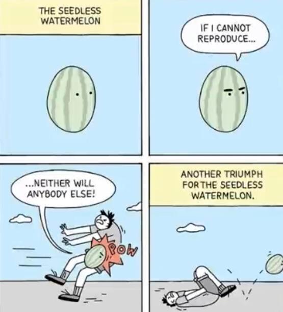 The seedless watermelon | Scrolller