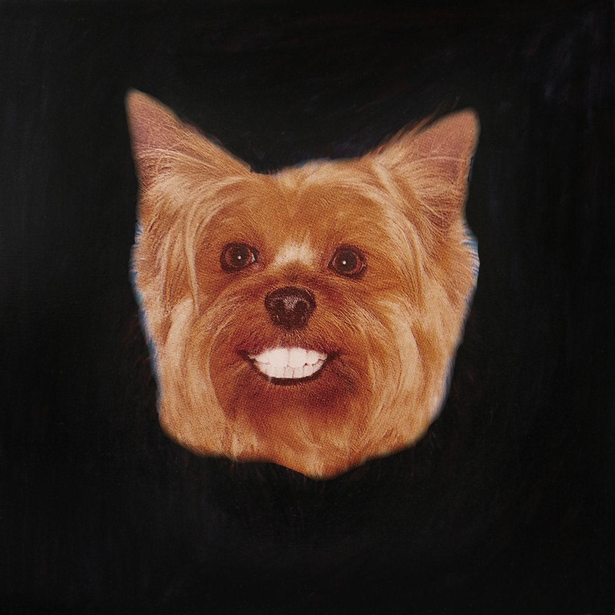 The Seer (2012) | Scrolller