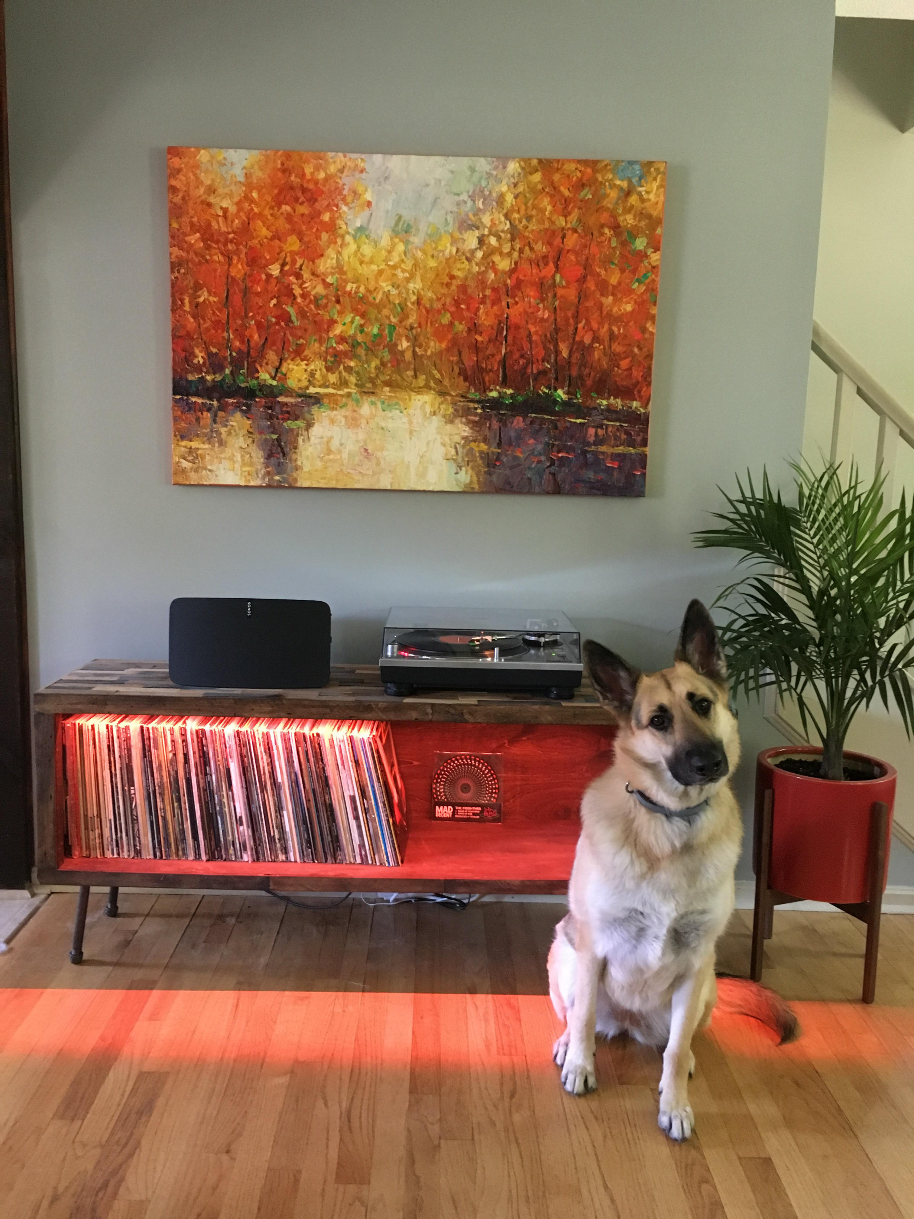 The set up is finally complete! | Scrolller