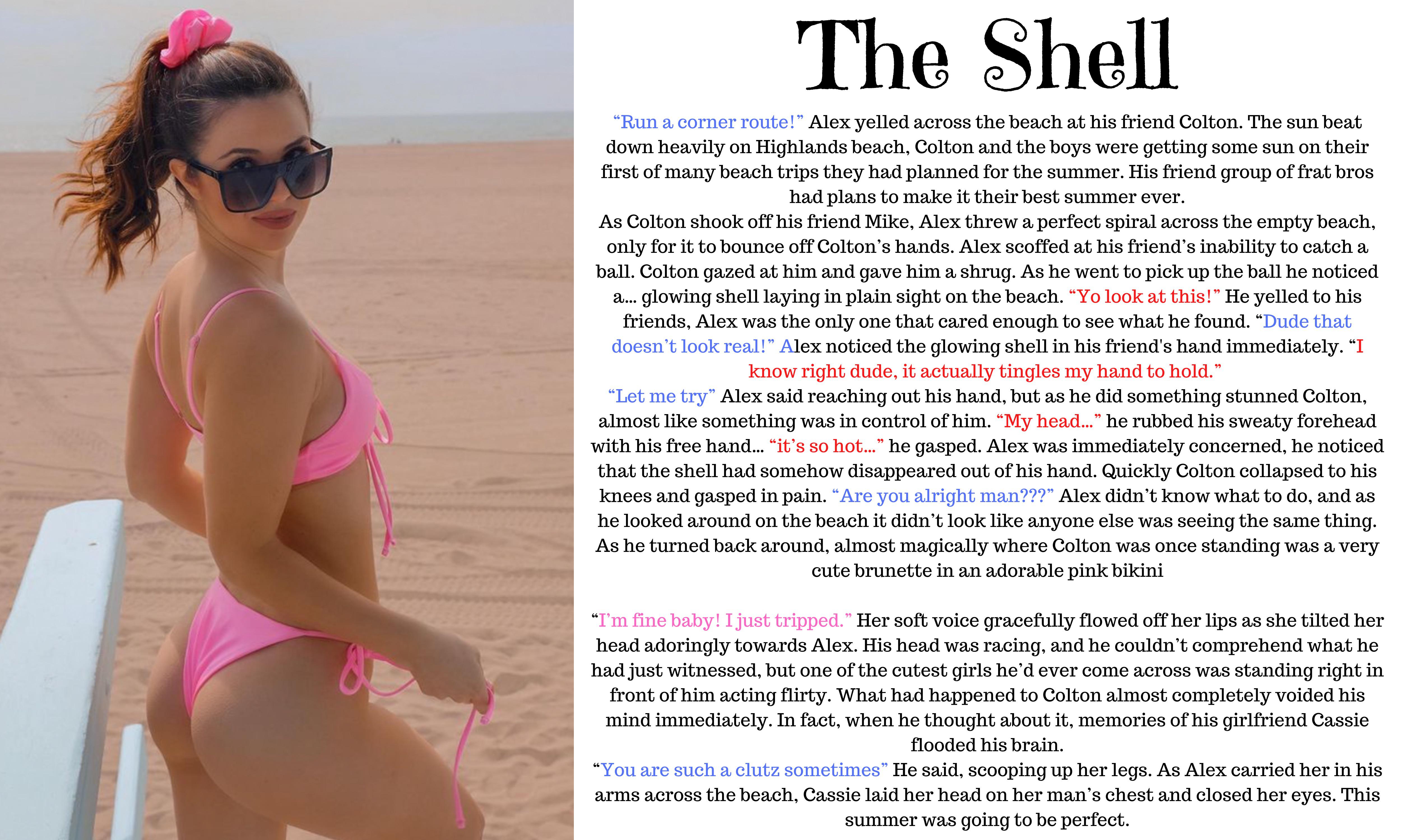 The Shell | Scrolller