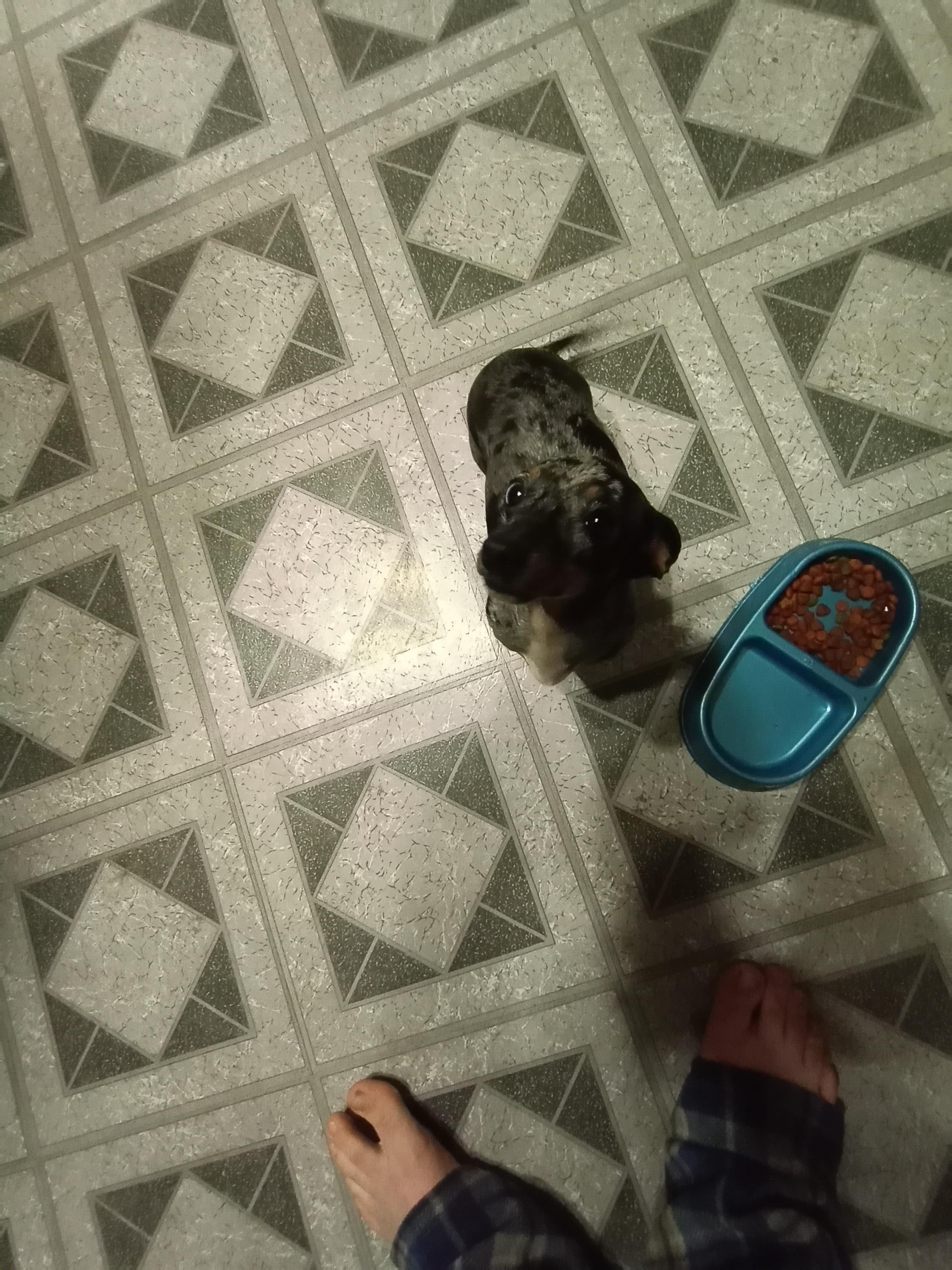 The smallest of the seven | Scrolller