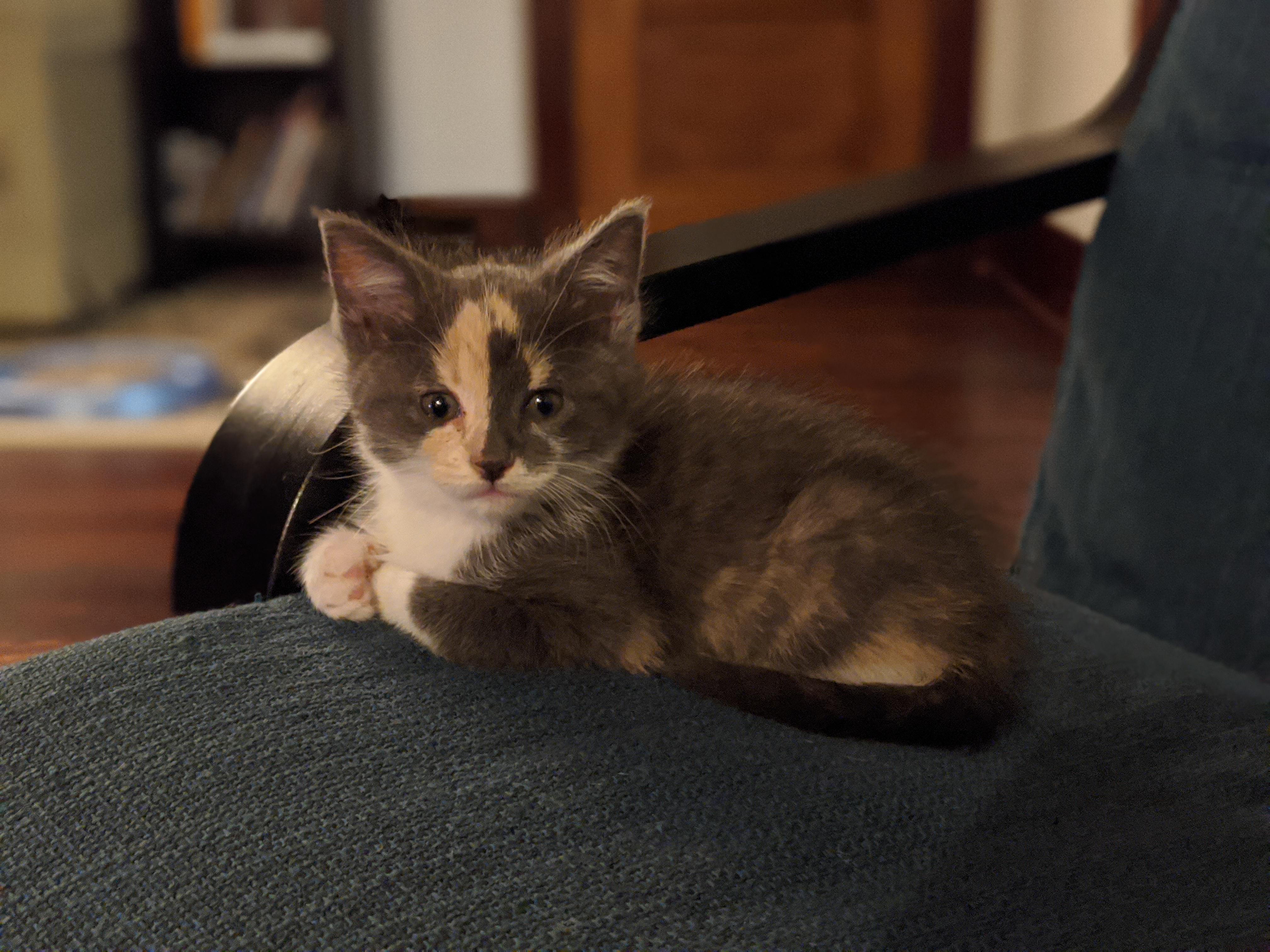 The smollest loaf | Scrolller