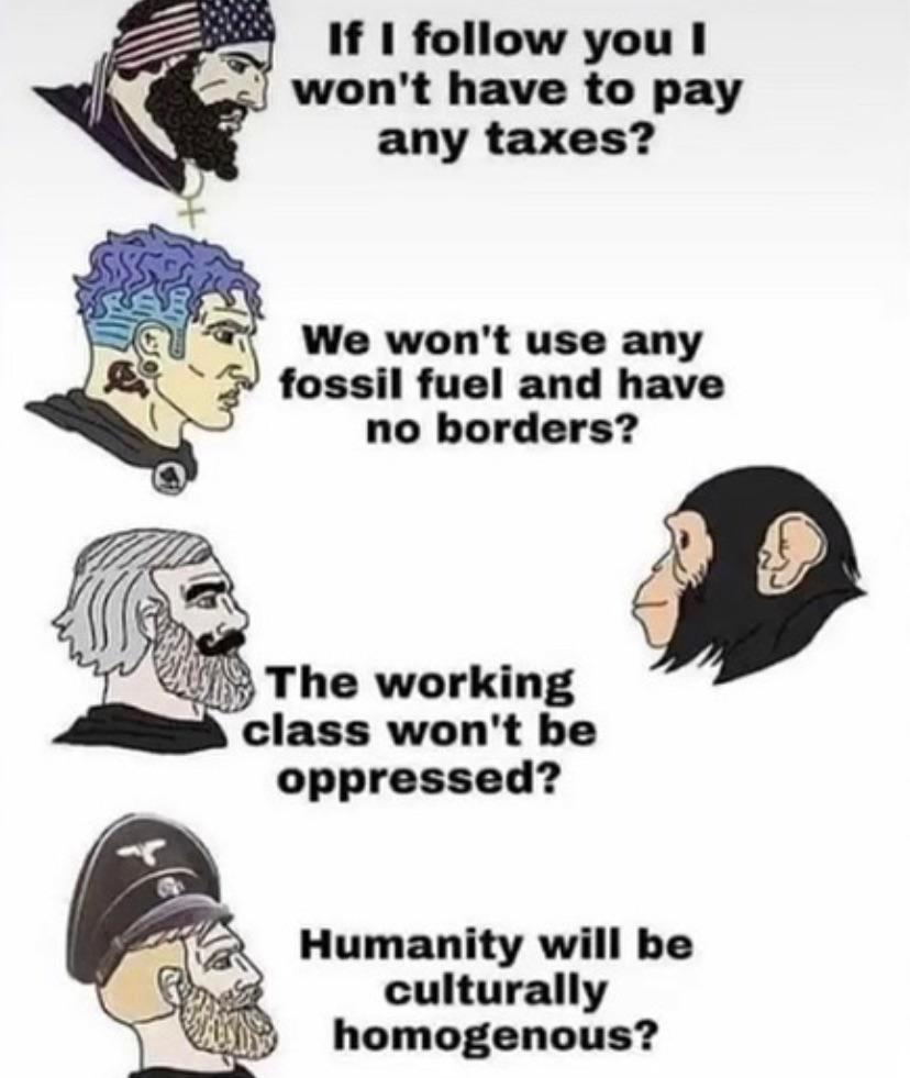 The solution | Scrolller