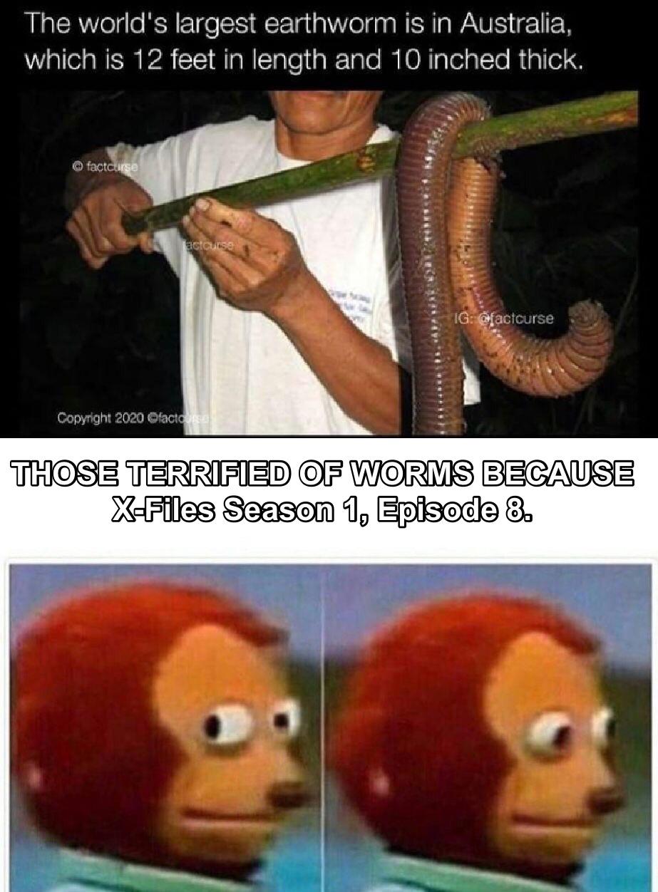 The source of my trauma. | Scrolller