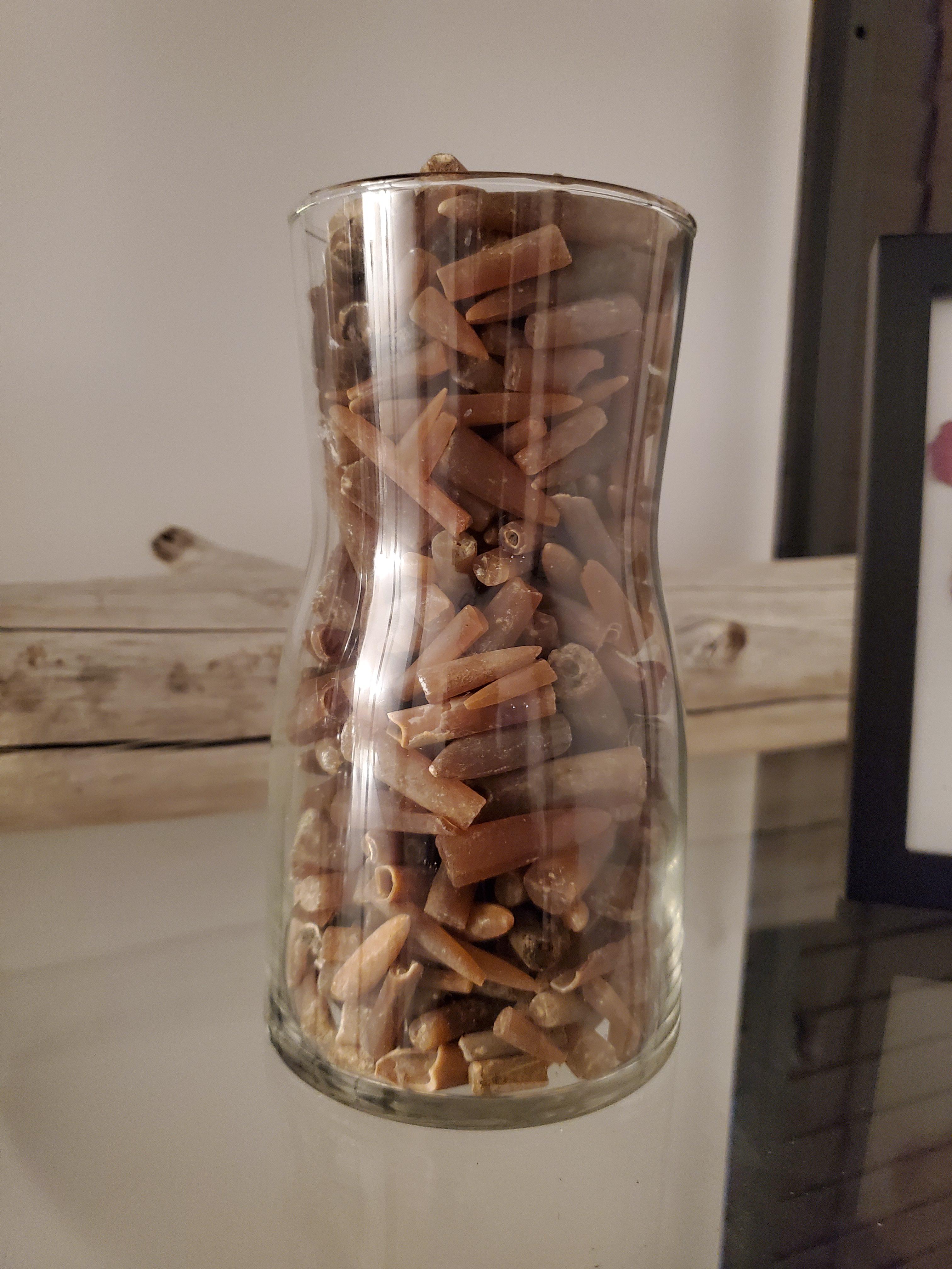 The 'Squid Jar' - 300+ Belemnitella americana fossils, C&D Canal, DE, USA | Scrolller