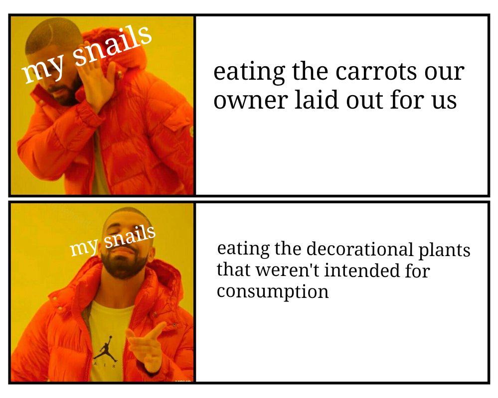 The struggle | Scrolller