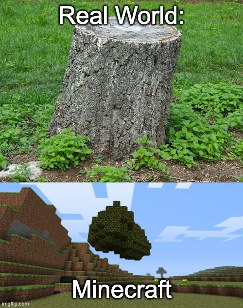 The Stumps of Minecraft | Scrolller
