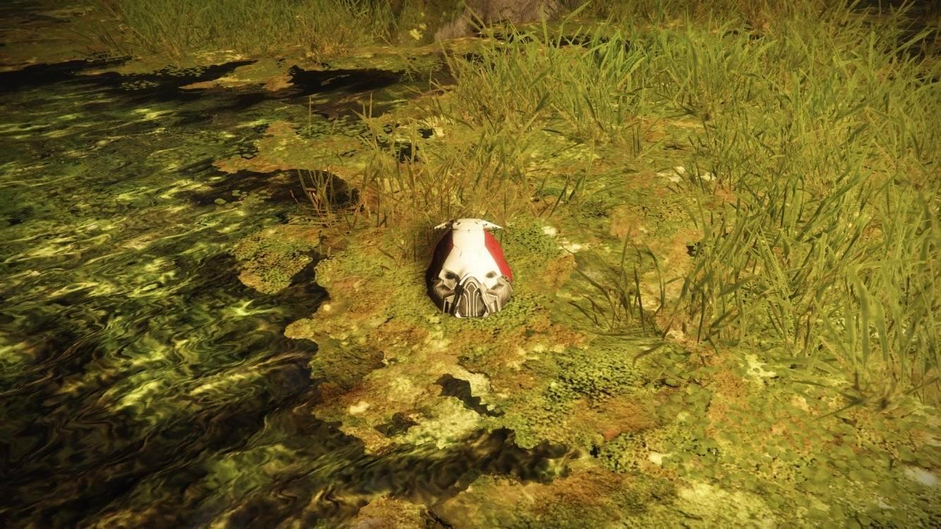 The Swamp Monster | Scrolller