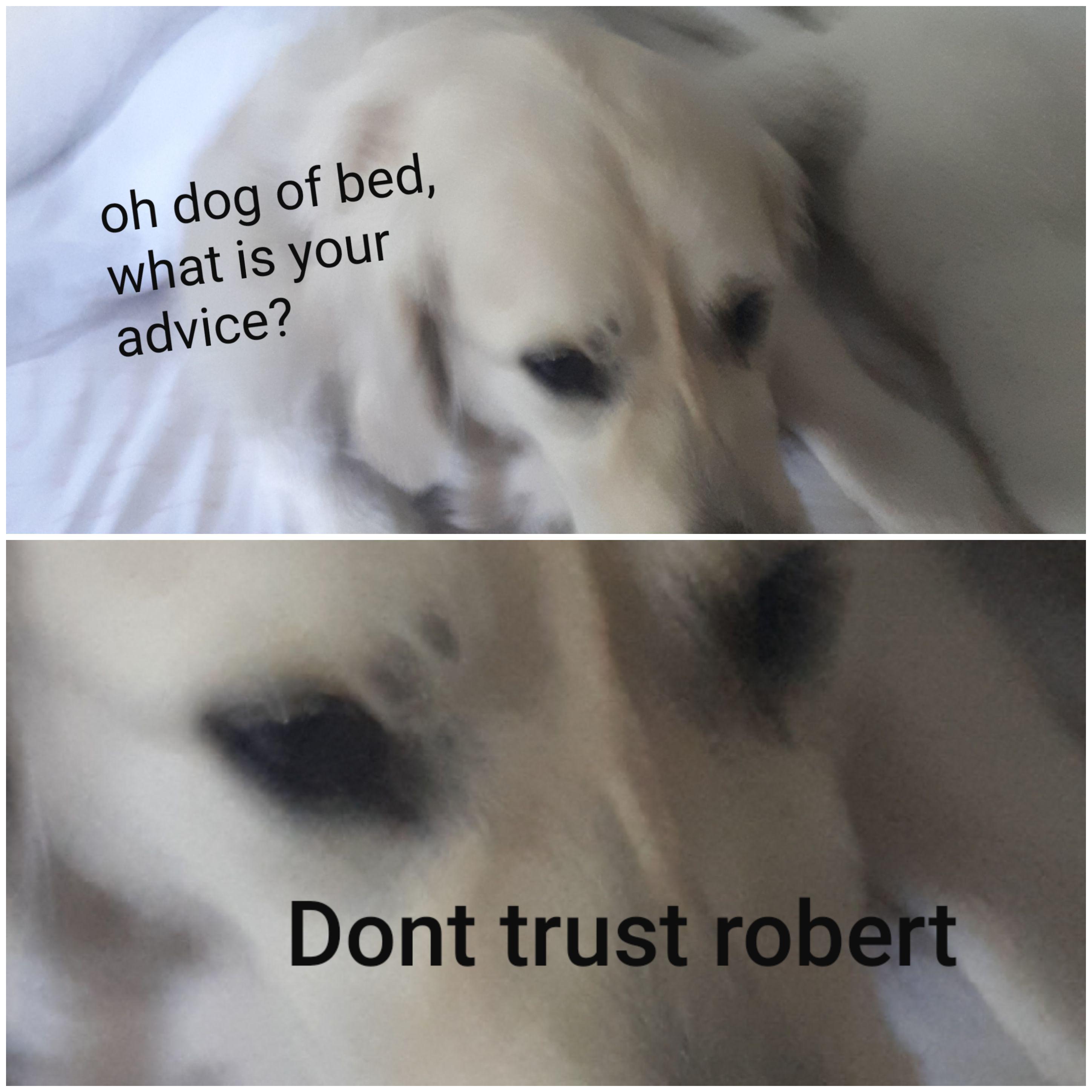 The truth. | Scrolller