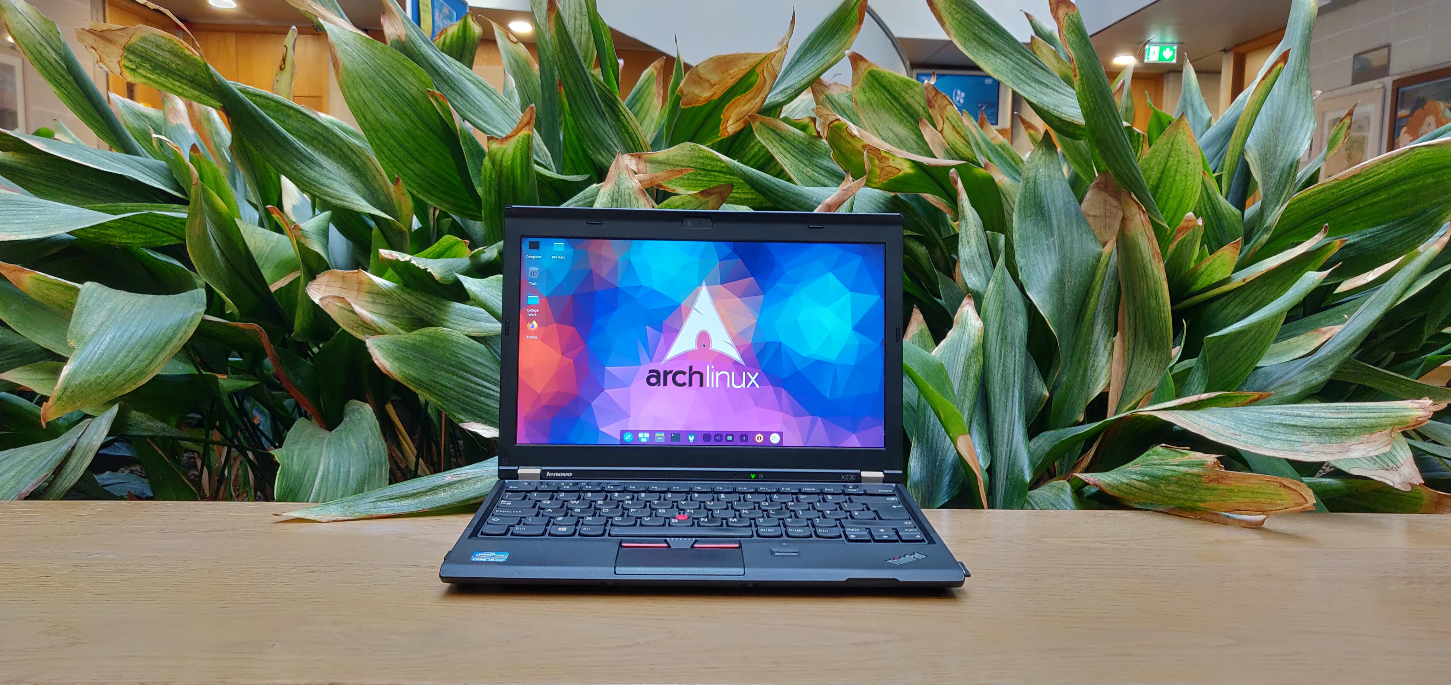 The ultimate flex. (OC, X230) | Scrolller