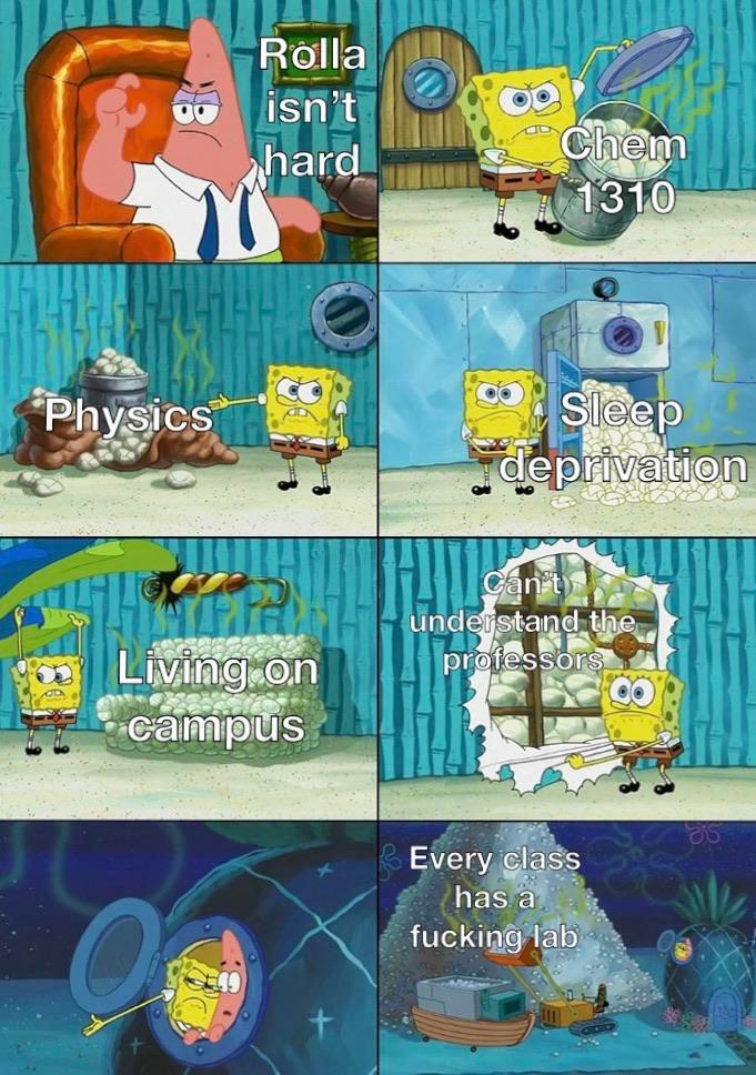 The ultimate rolla meme | Scrolller