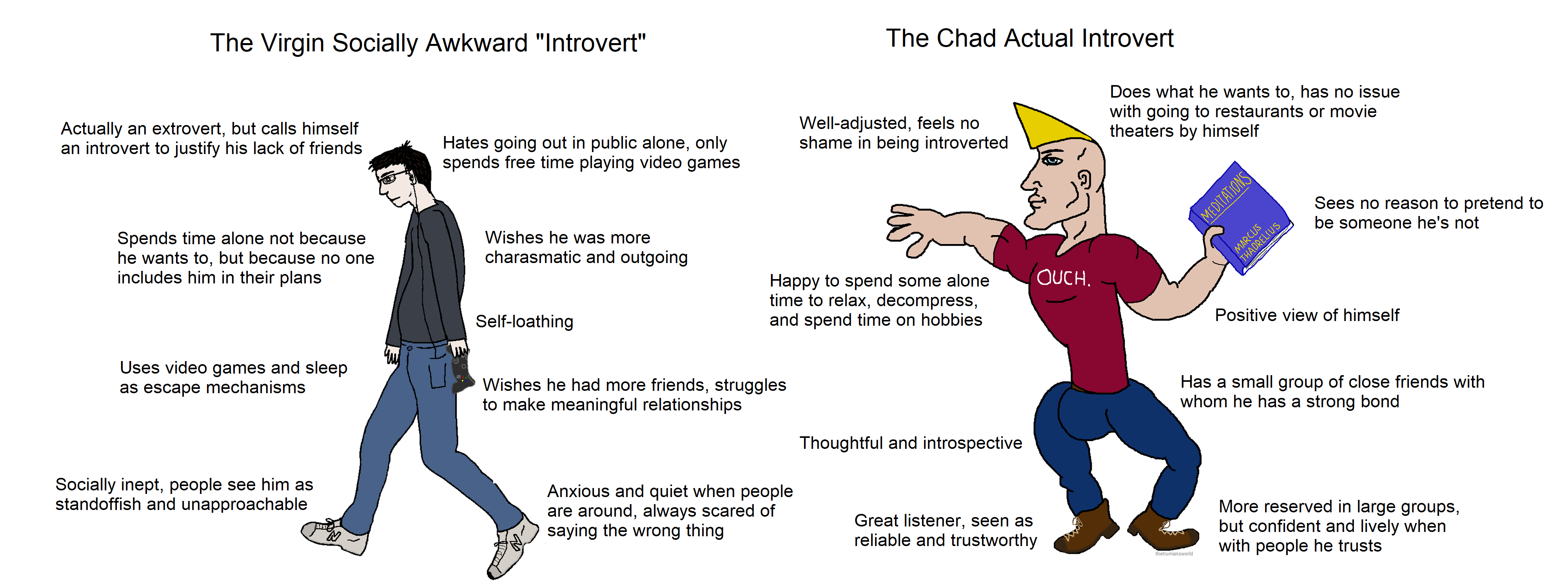 The Virgin "Introvert" vs the Chad Introvert | Scrolller