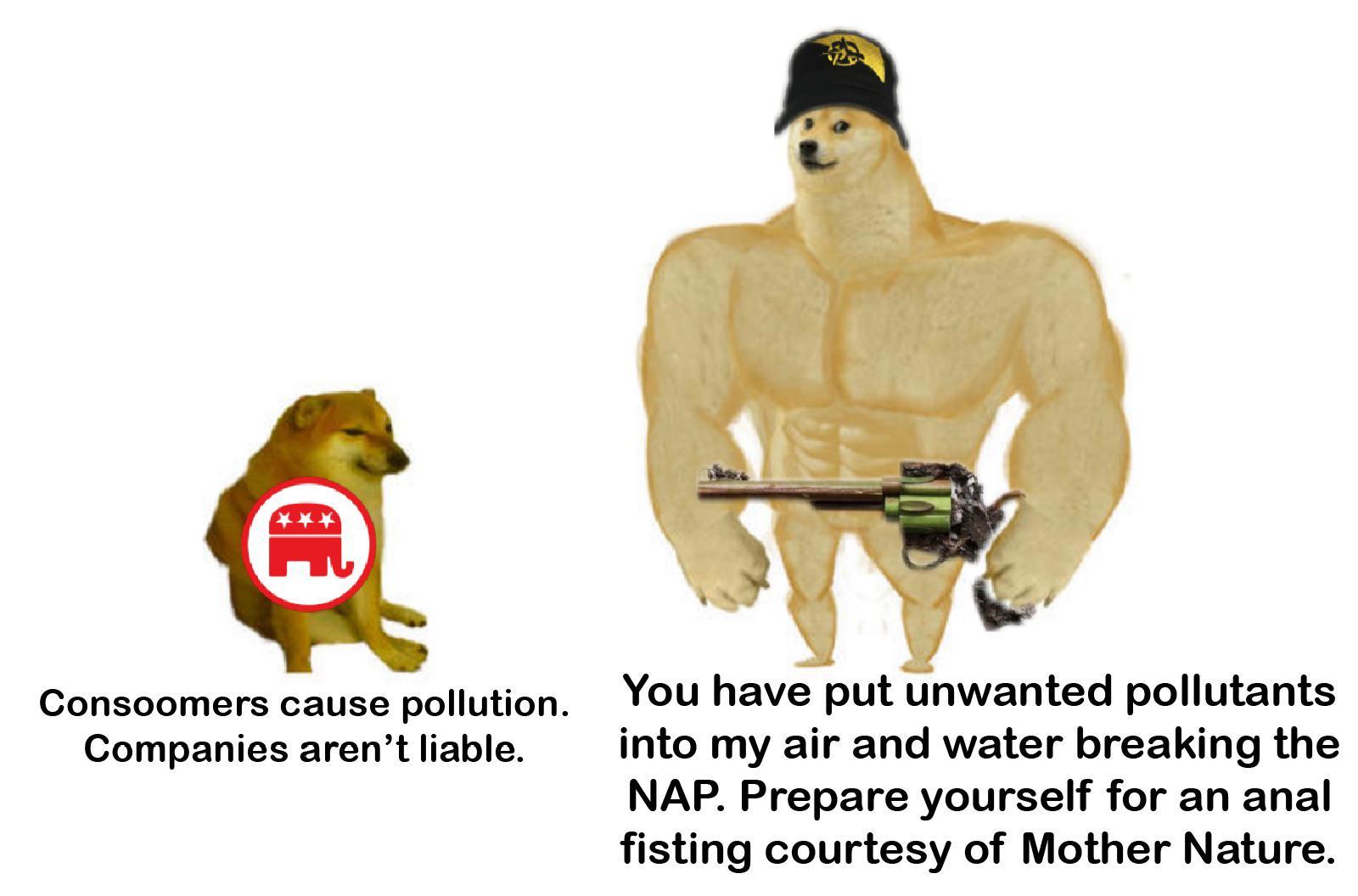 The virgin NeoCon vs the Chad Eco AnCap | Scrolller