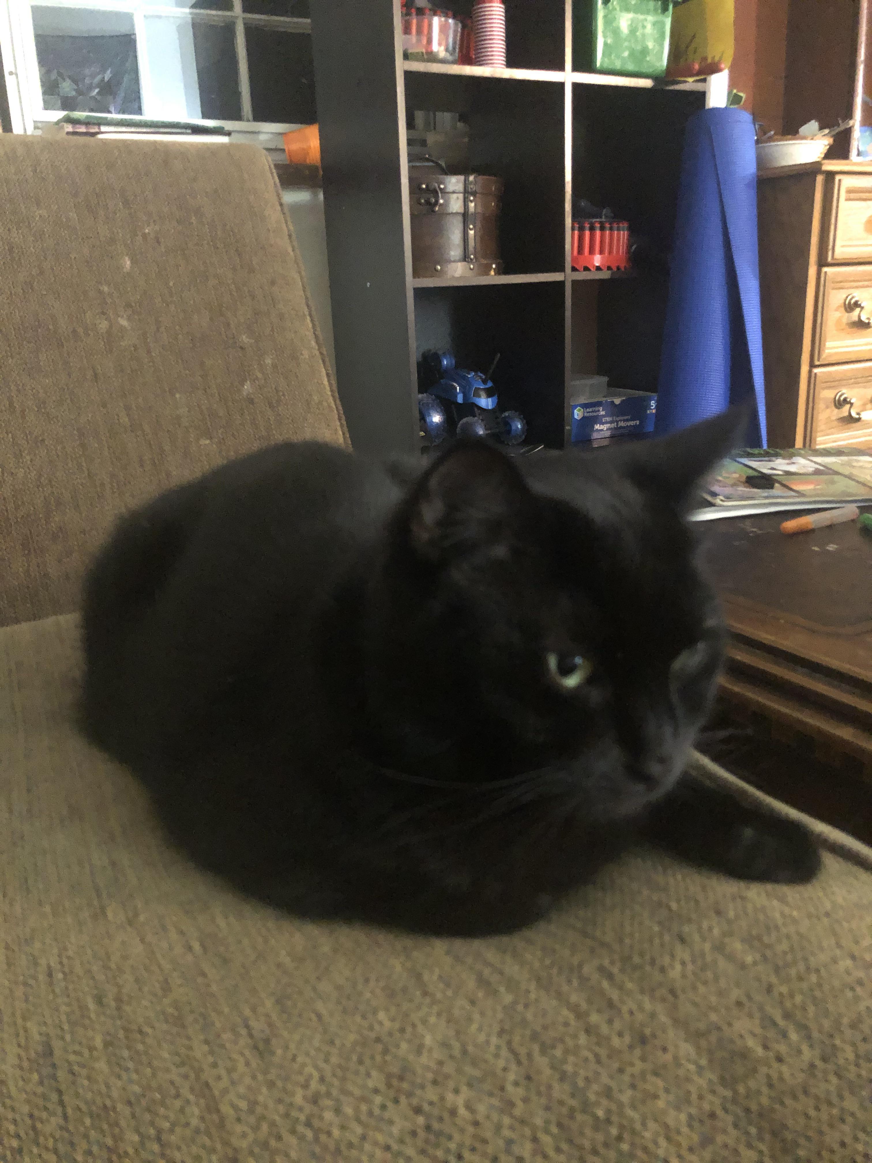 The void is not amused. | Scrolller